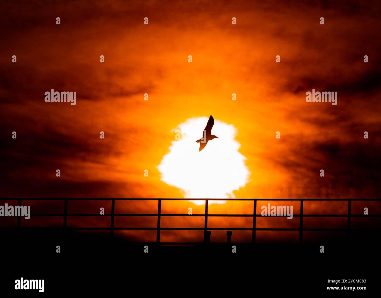 Summer theme image hi-res stock photography and images - Alamy