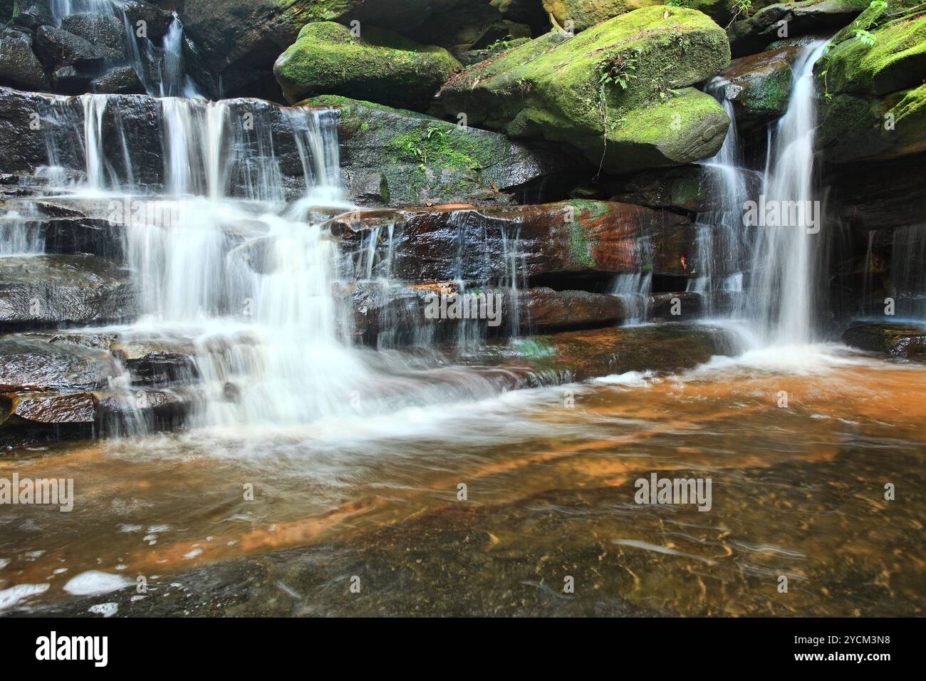 Waterfalls of nsw hi-res stock photography and images - Alamy