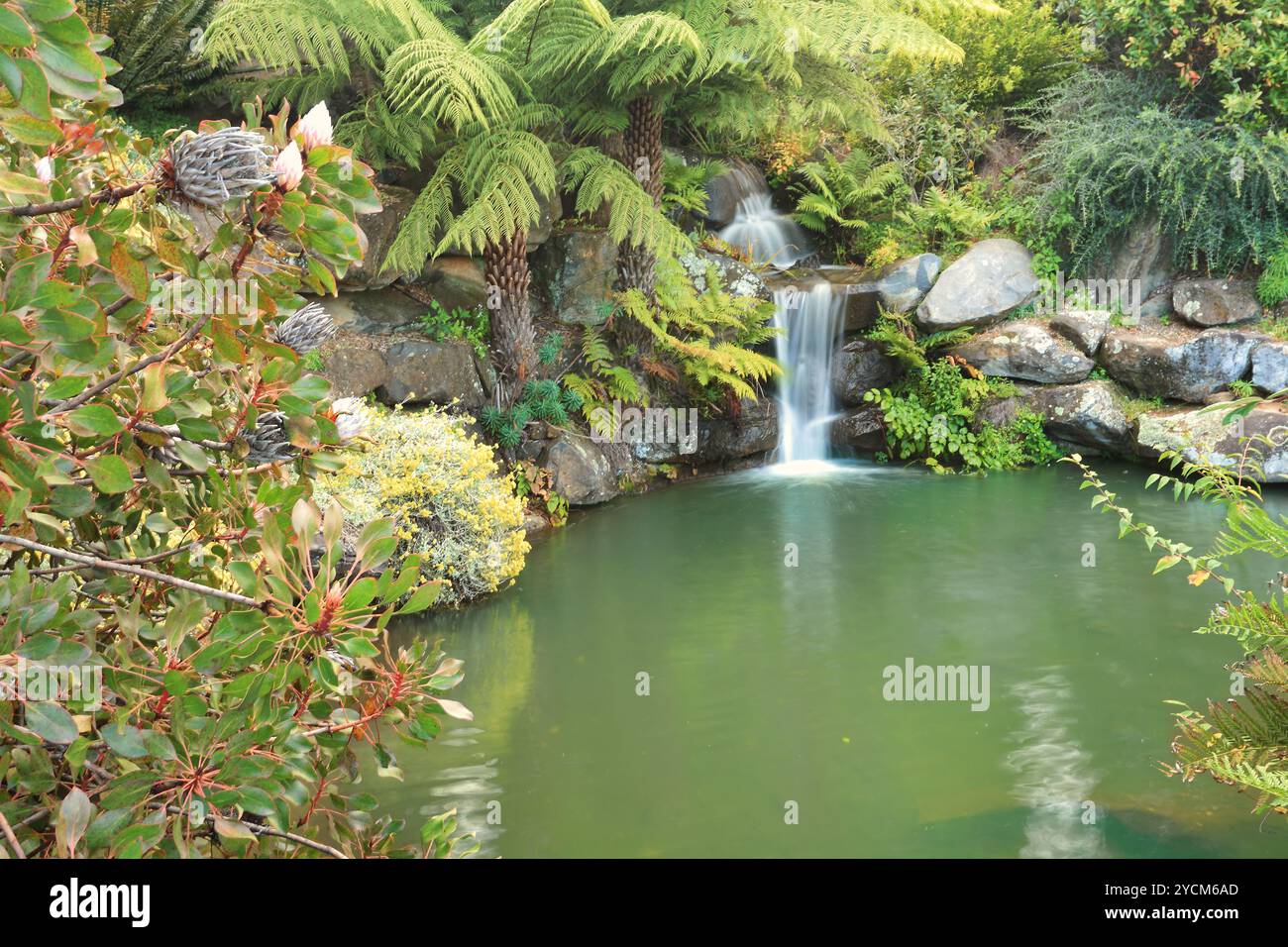 Lush rural environment hi-res stock photography and images - Alamy