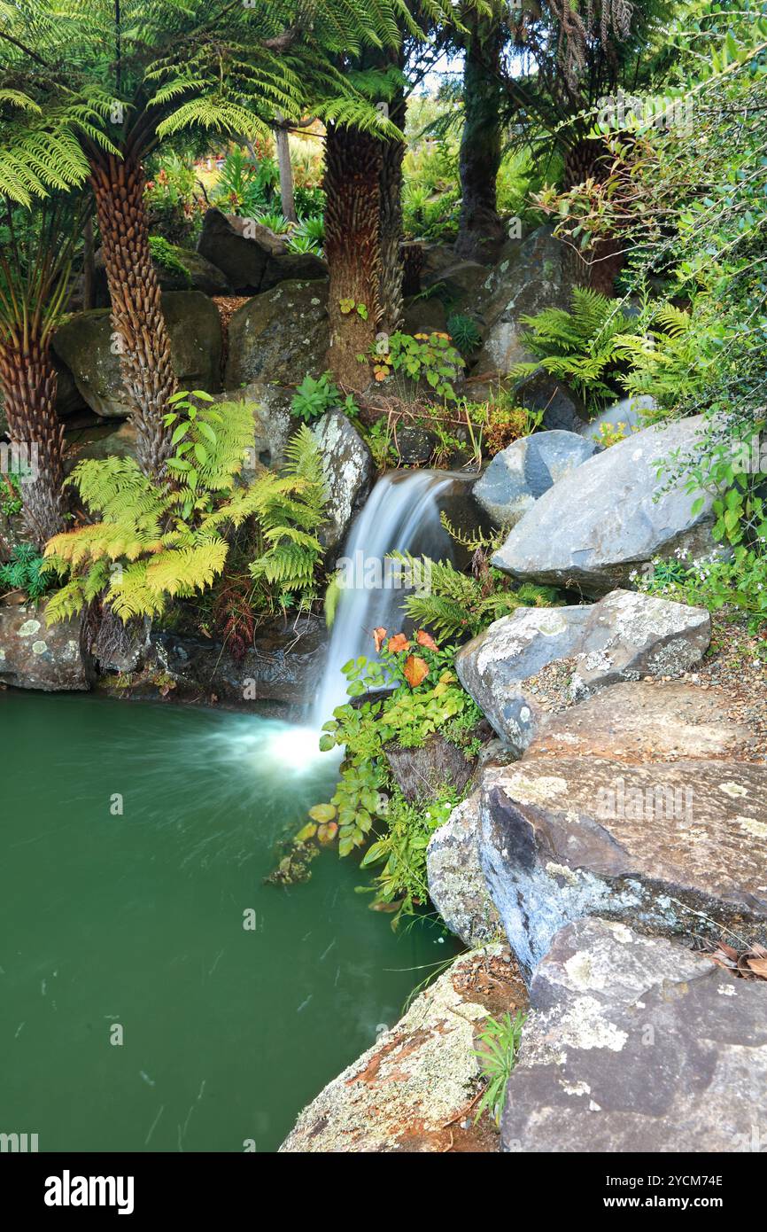 Waterfall at Mt Tomah Stock Photo - Alamy