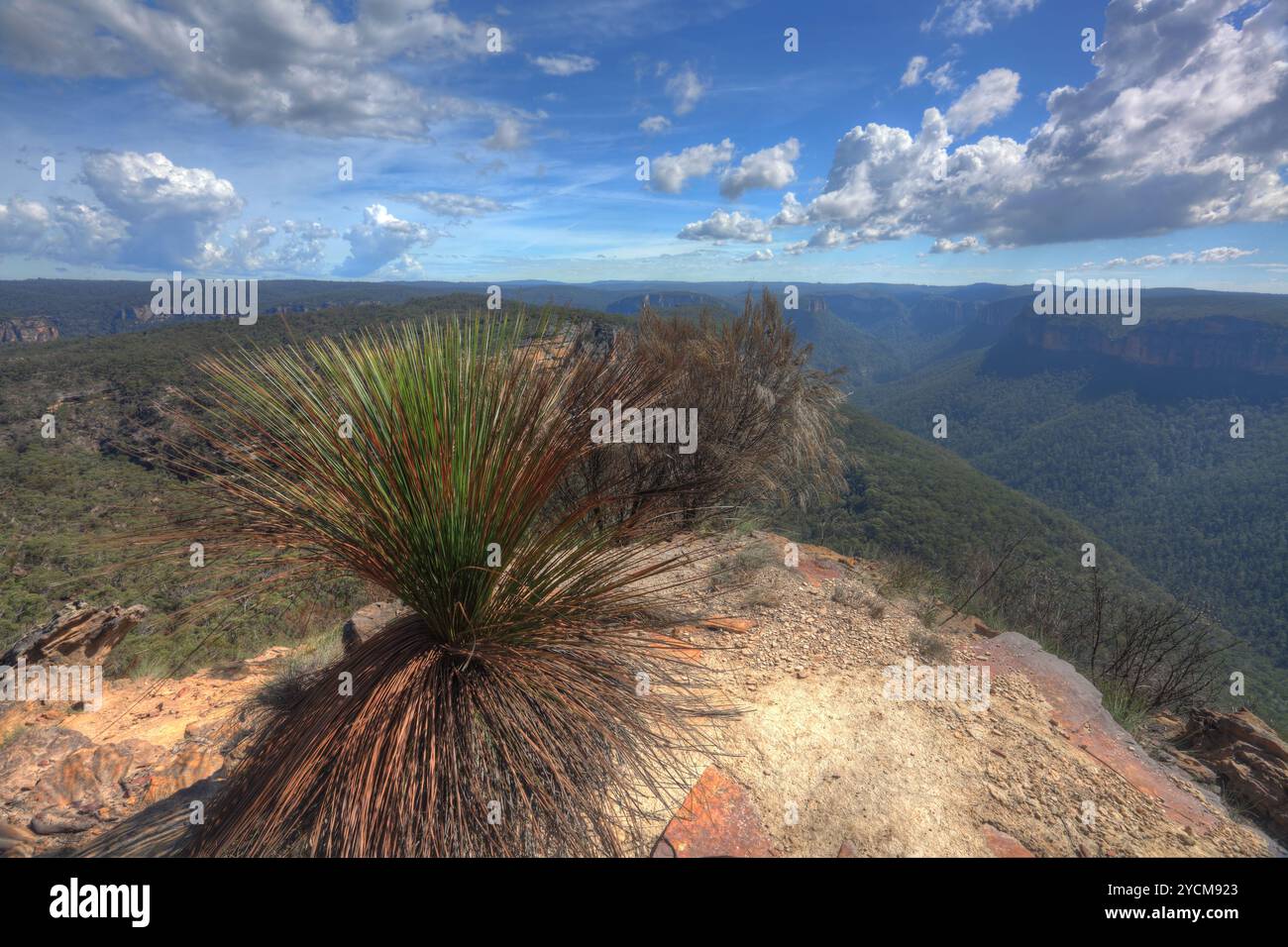 Buramoko Ridge Blue Mountains National Park Australia Stock Photo - Alamy