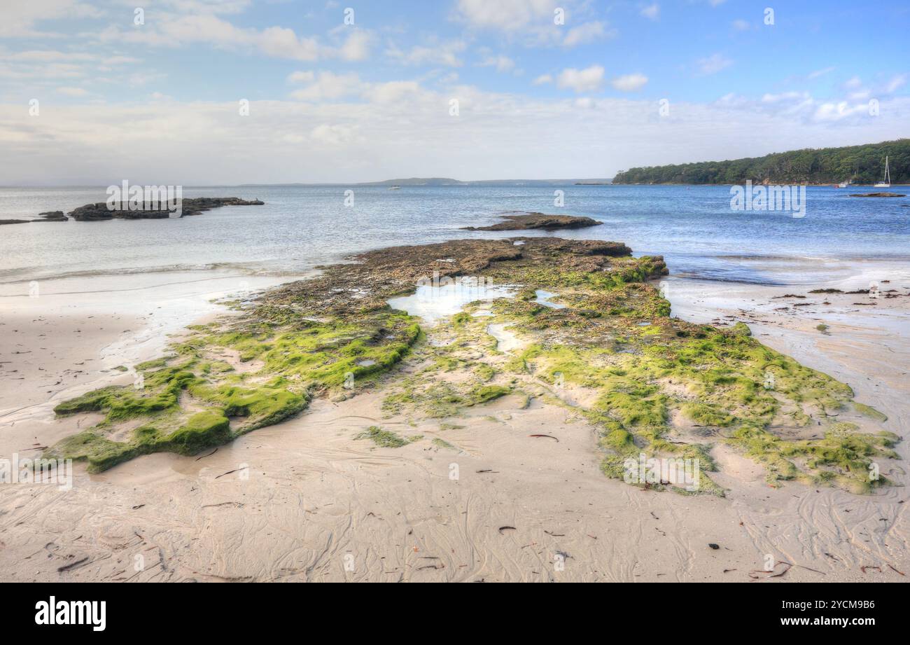 Tide pools australia hi-res stock photography and images - Alamy