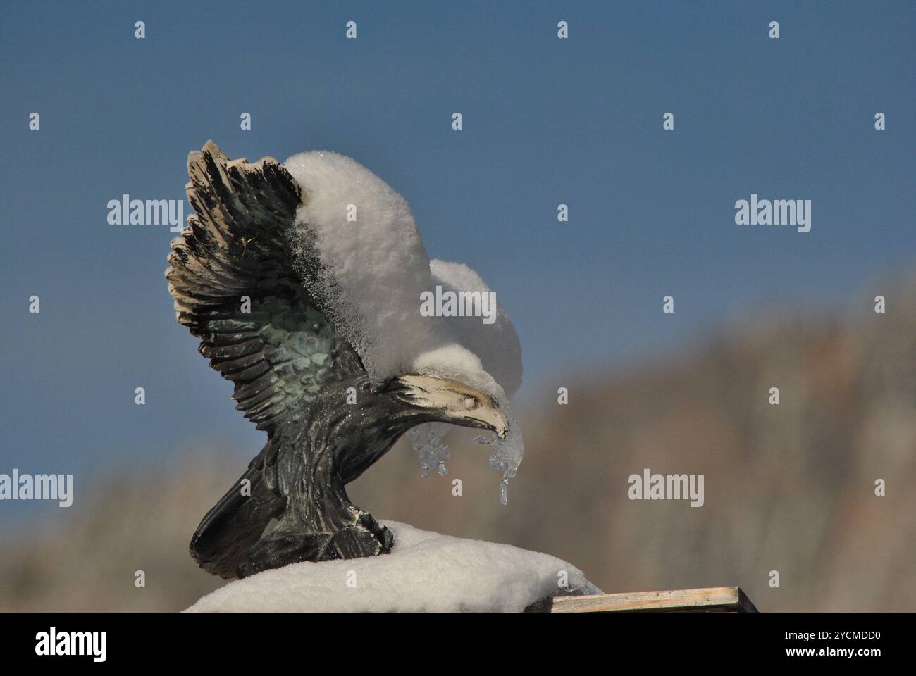 Eagle ice sculpture hi-res stock photography and images - Alamy
