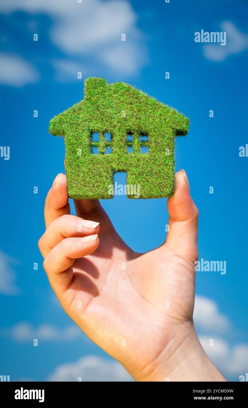 Grass home - Eco Concept Stock Photo - Alamy