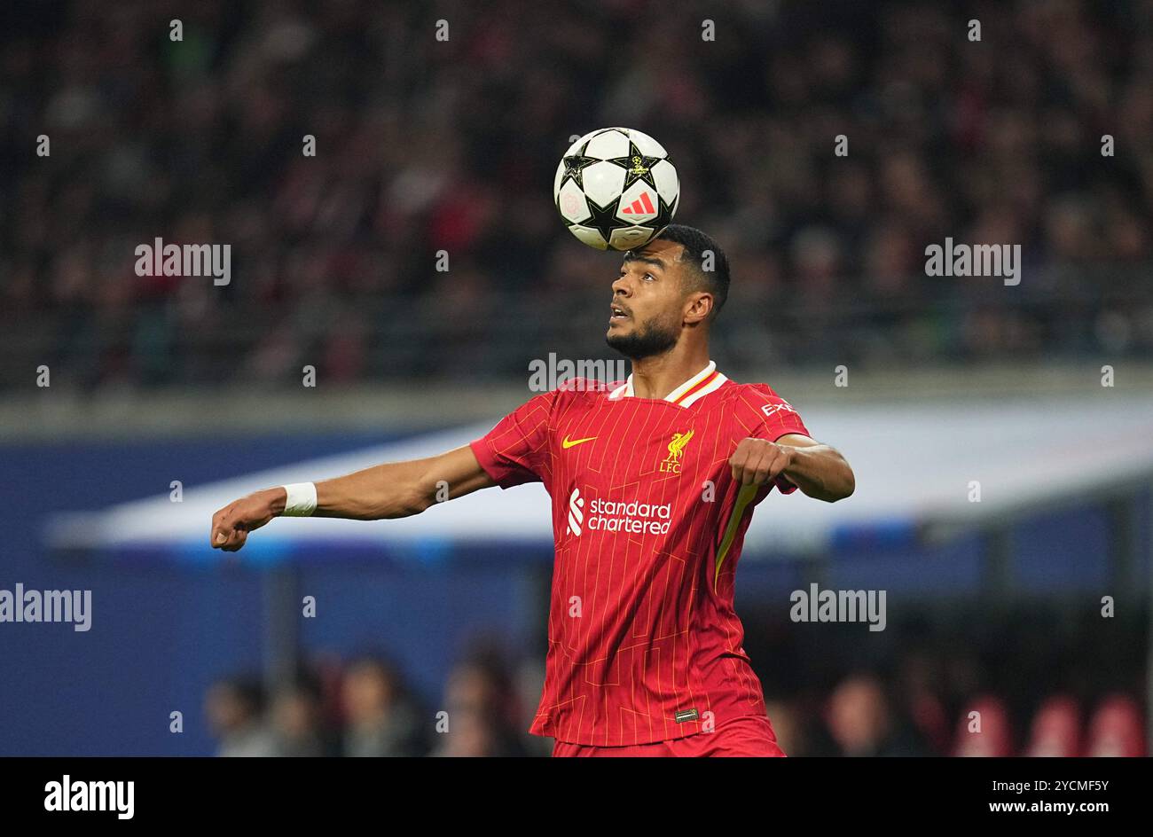 Red Bull Arena, Leipzig, Germany. 23rd Oct, 2024. Cody Gakpo of ...