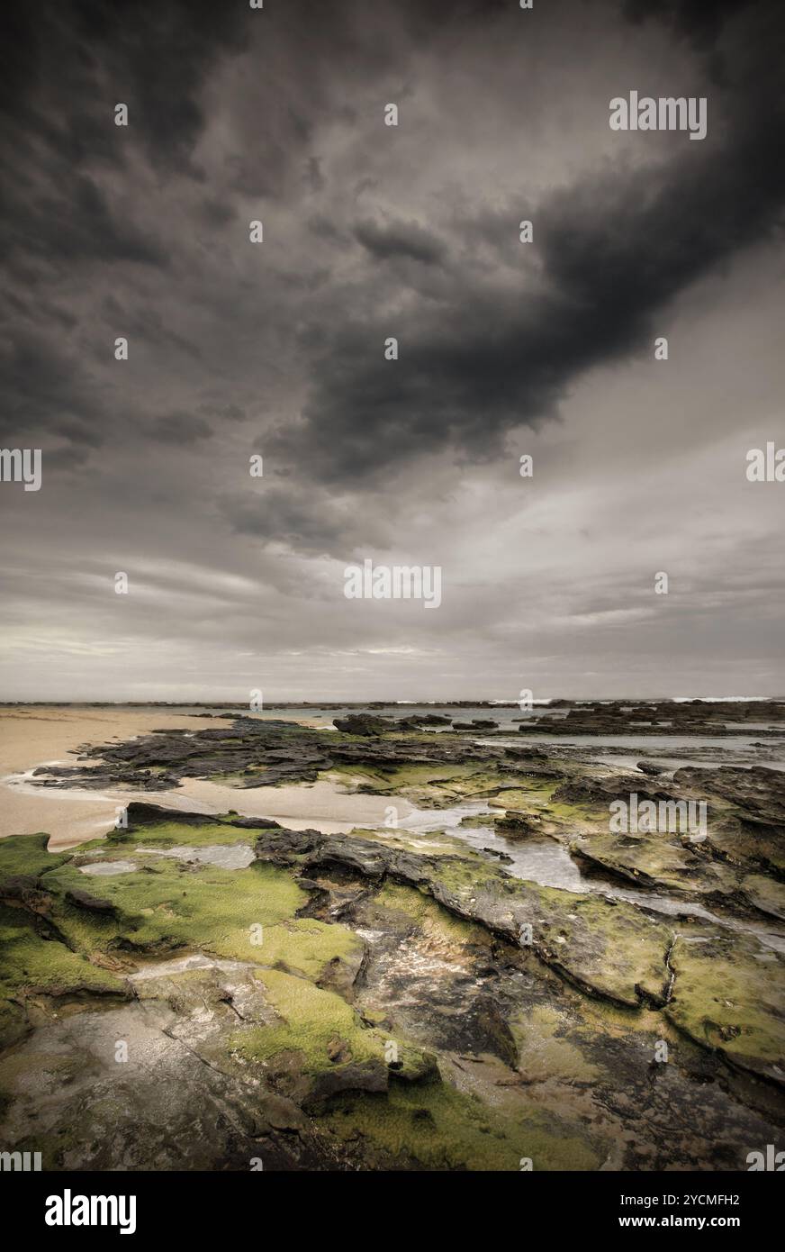 Little bay nsw australia hi-res stock photography and images - Alamy