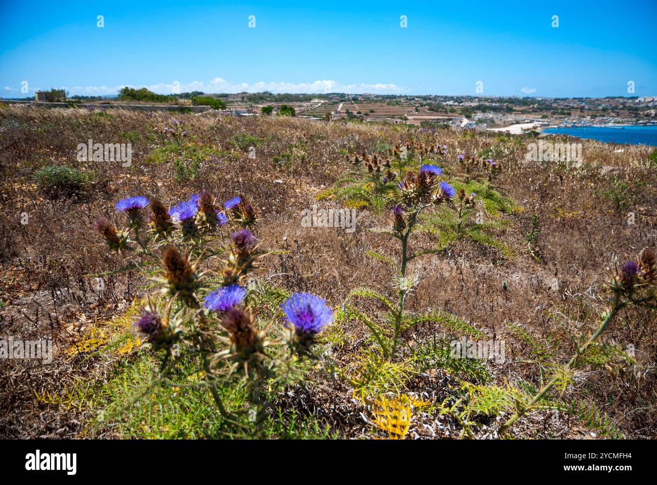 Maltese valley hi-res stock photography and images - Alamy