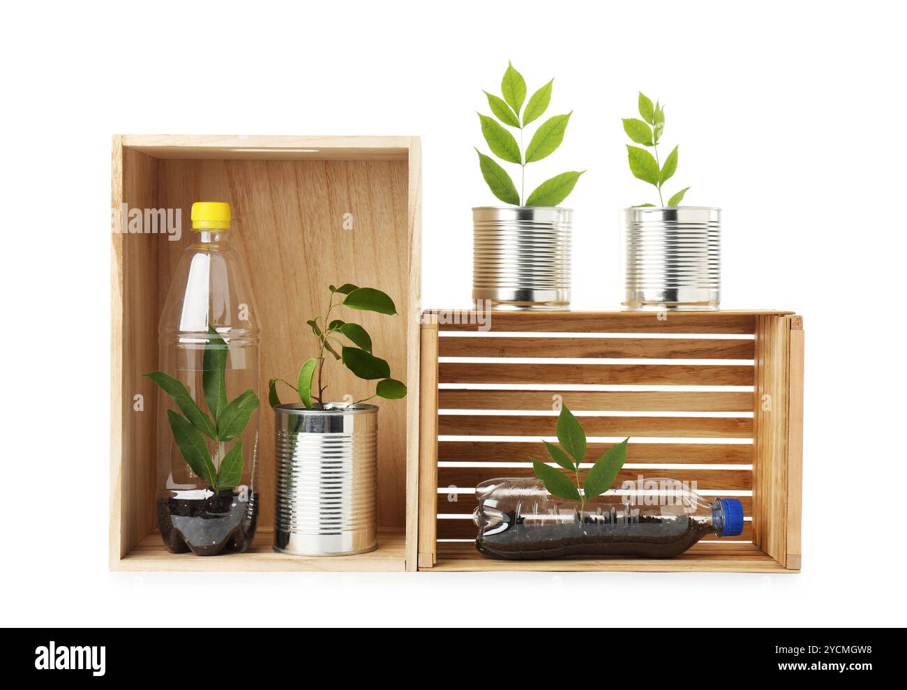 Recycling concept. Wooden crates with plants in bottles and cans ...