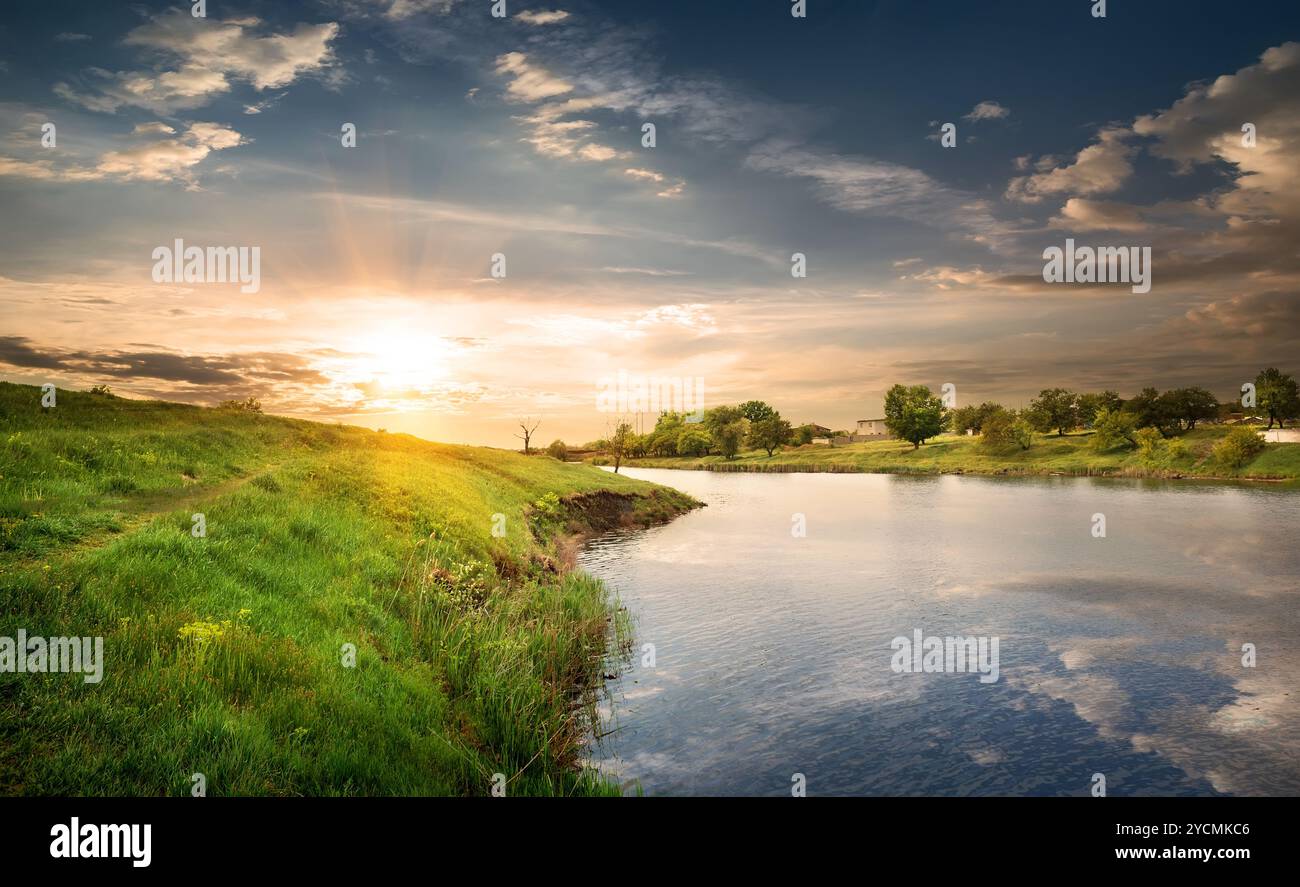 Pond grass nature reflection reeds hi-res stock photography and images ...