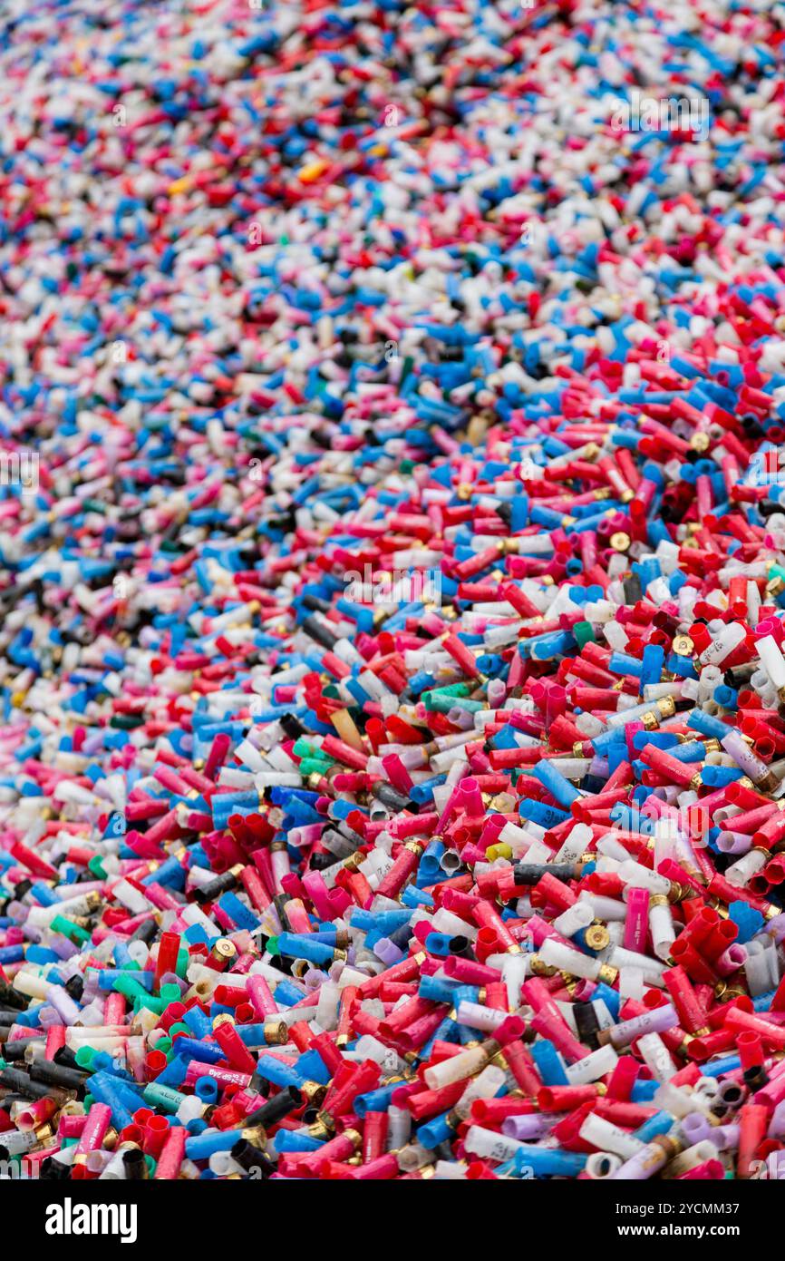 Colored spent case from sporting training Stock Photo - Alamy