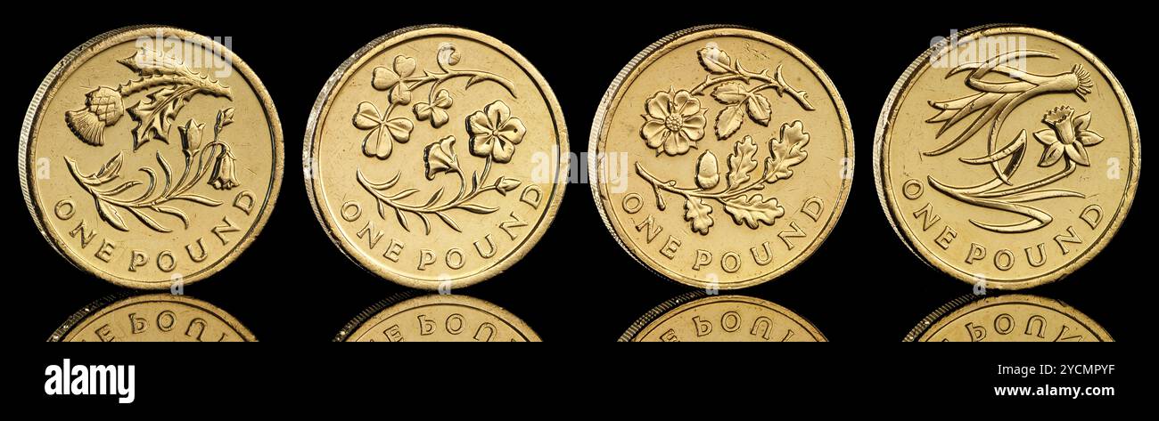 Full set of 2013 & 2014 Floral Emblems £1 coins to reperesent each ...