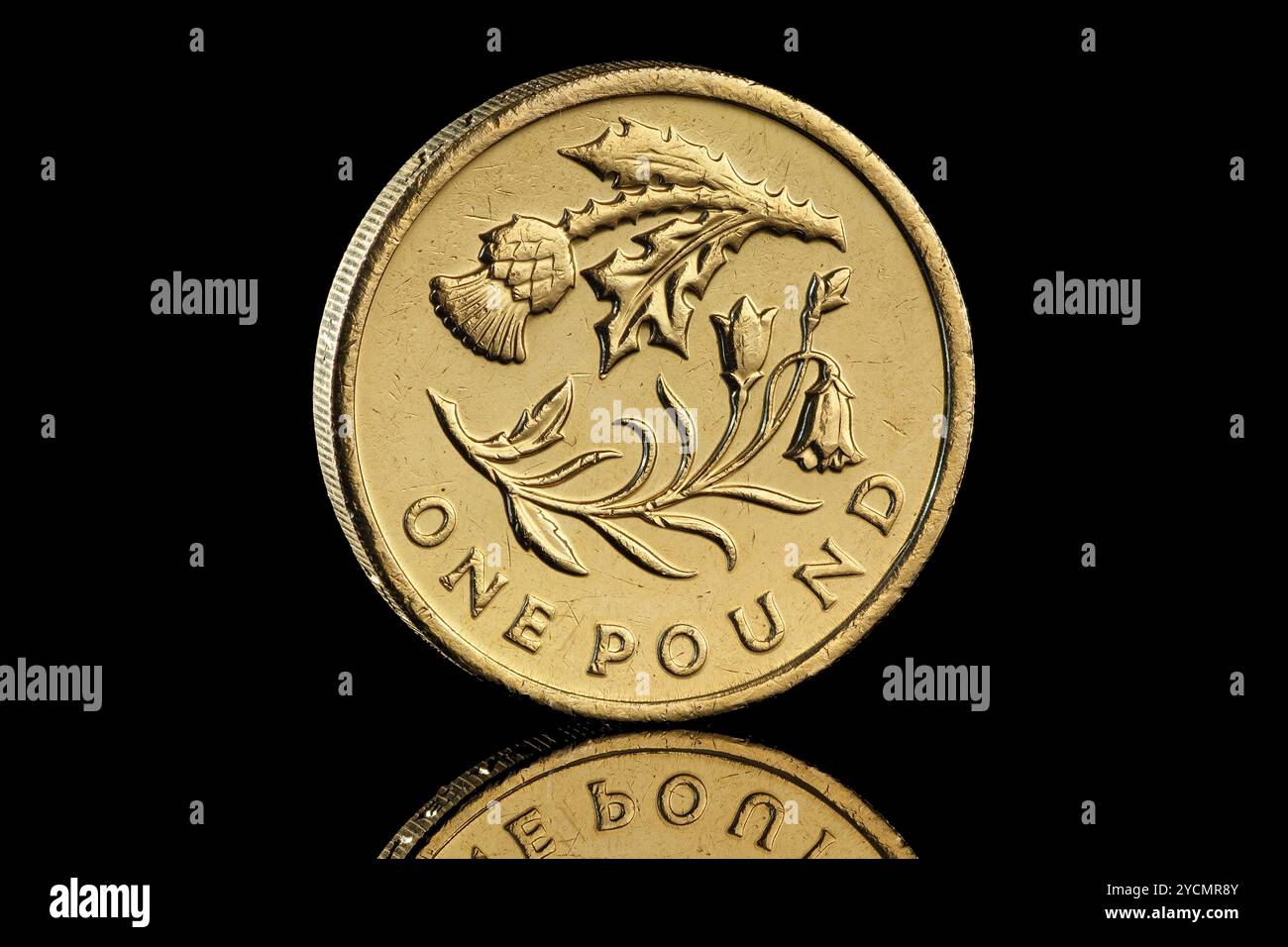 2014 Floral Emblems £1 coin representing Scotland with a Bluebell ...