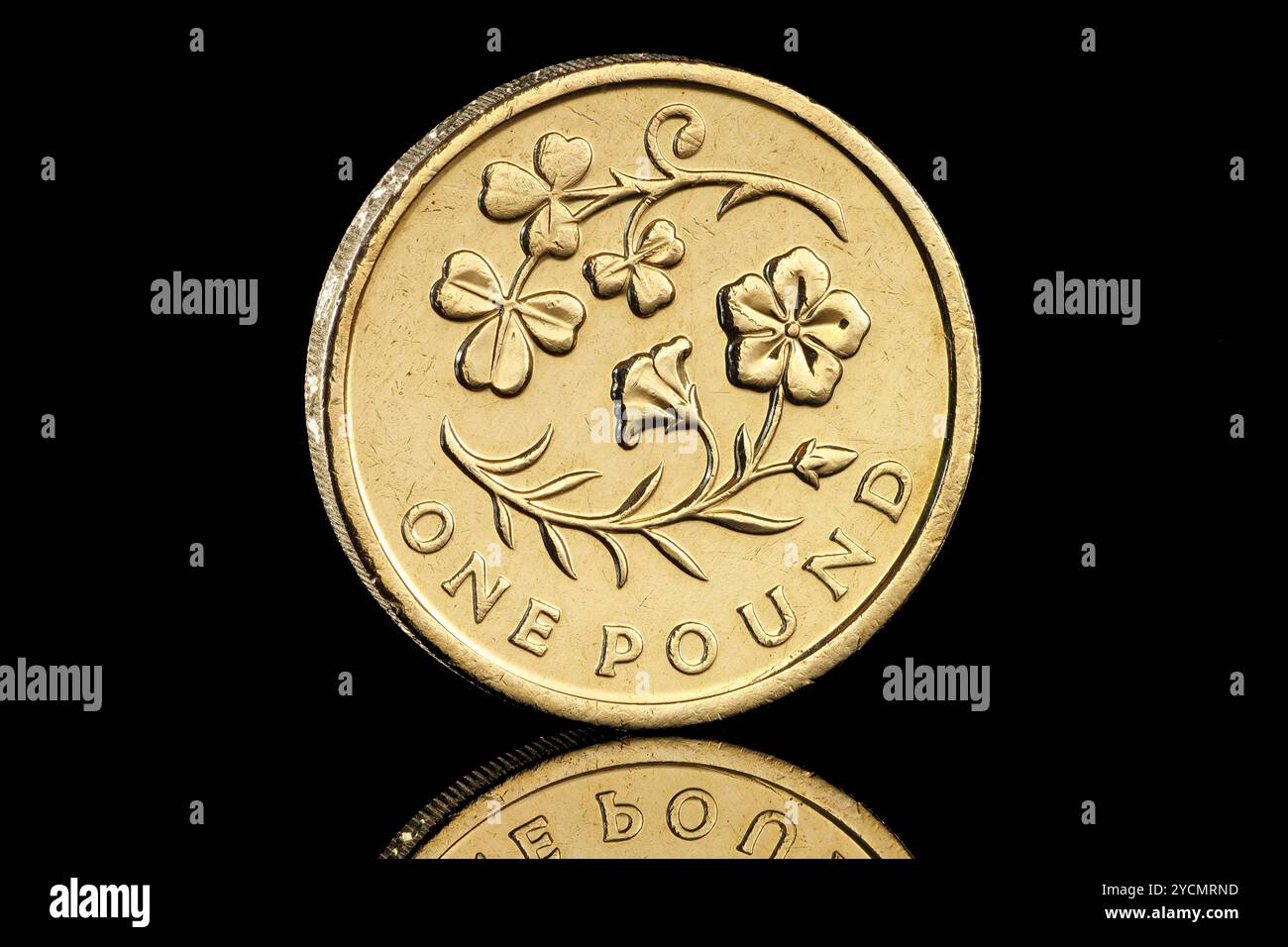 Shamrock and flax pound coin hi-res stock photography and images - Alamy