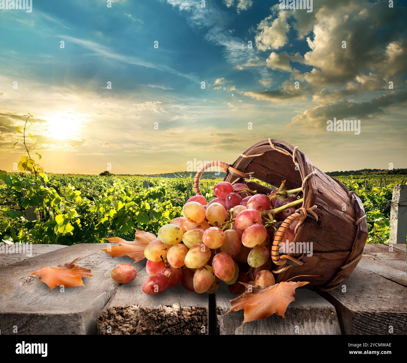 Grapes on table Stock Photo - Alamy