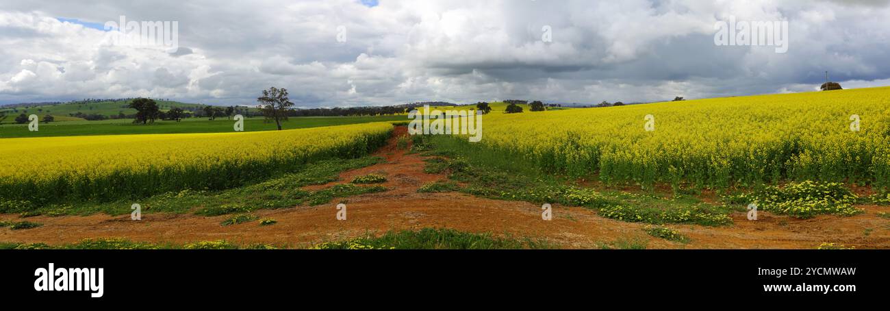 Red crops hi-res stock photography and images - Alamy