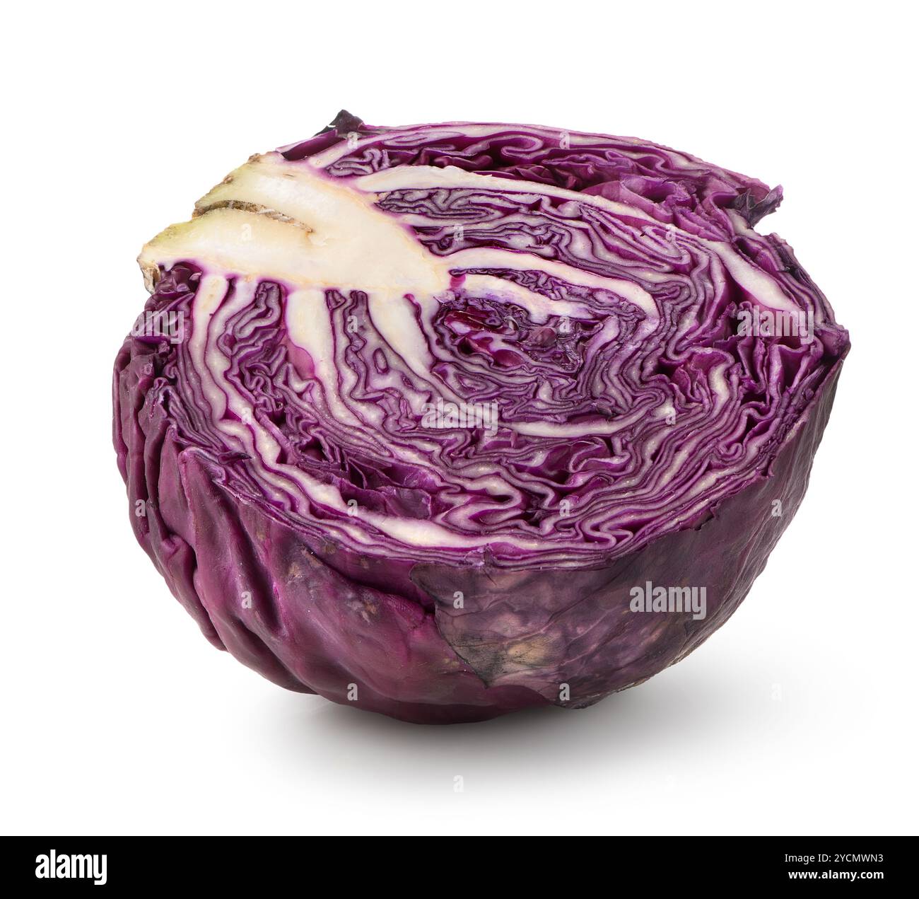 Cabbage plant edible circle hi-res stock photography and images - Alamy