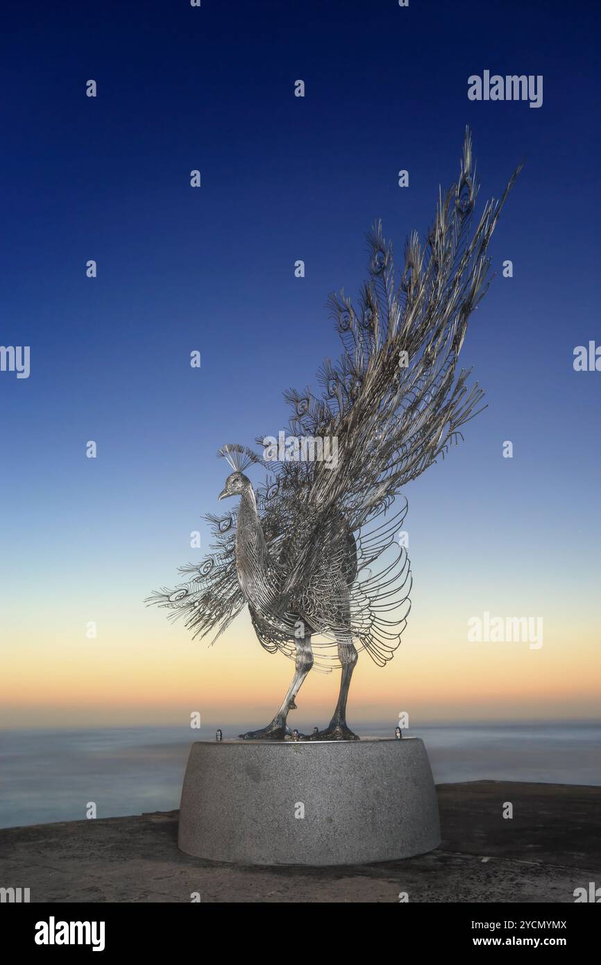 Peacock - Sculpture by the Sea Stock Photo - Alamy