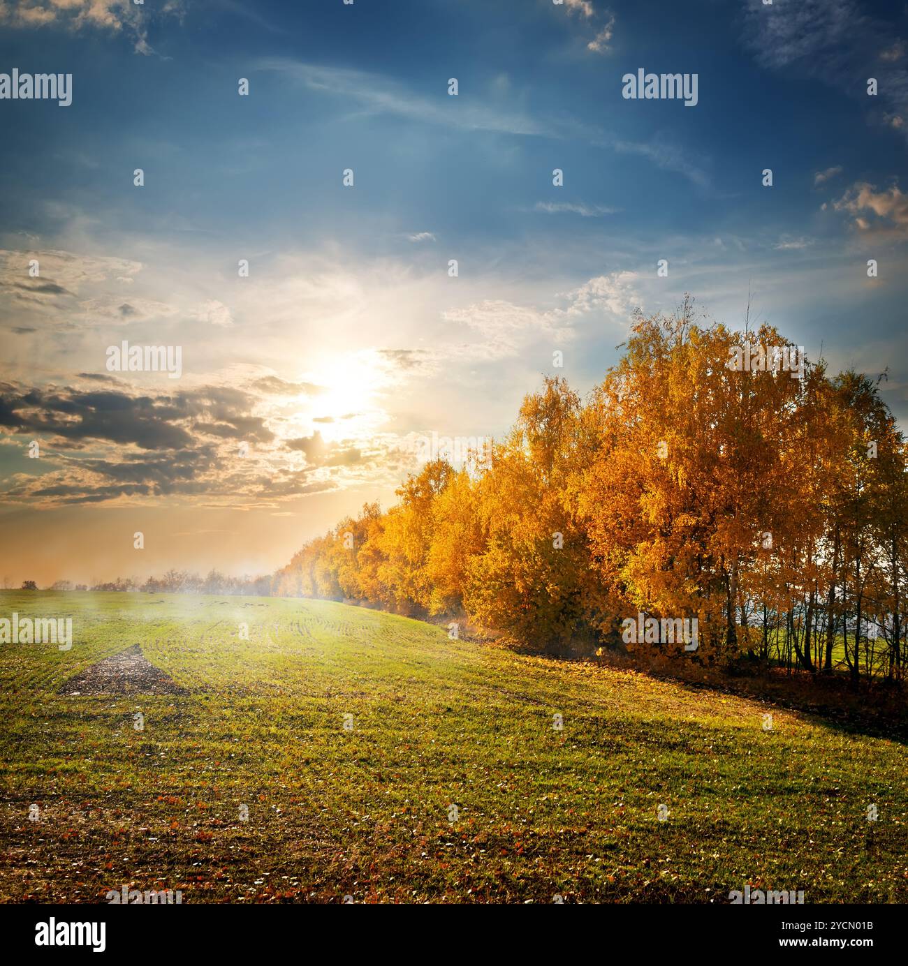 Land dry trees grass hi-res stock photography and images - Alamy