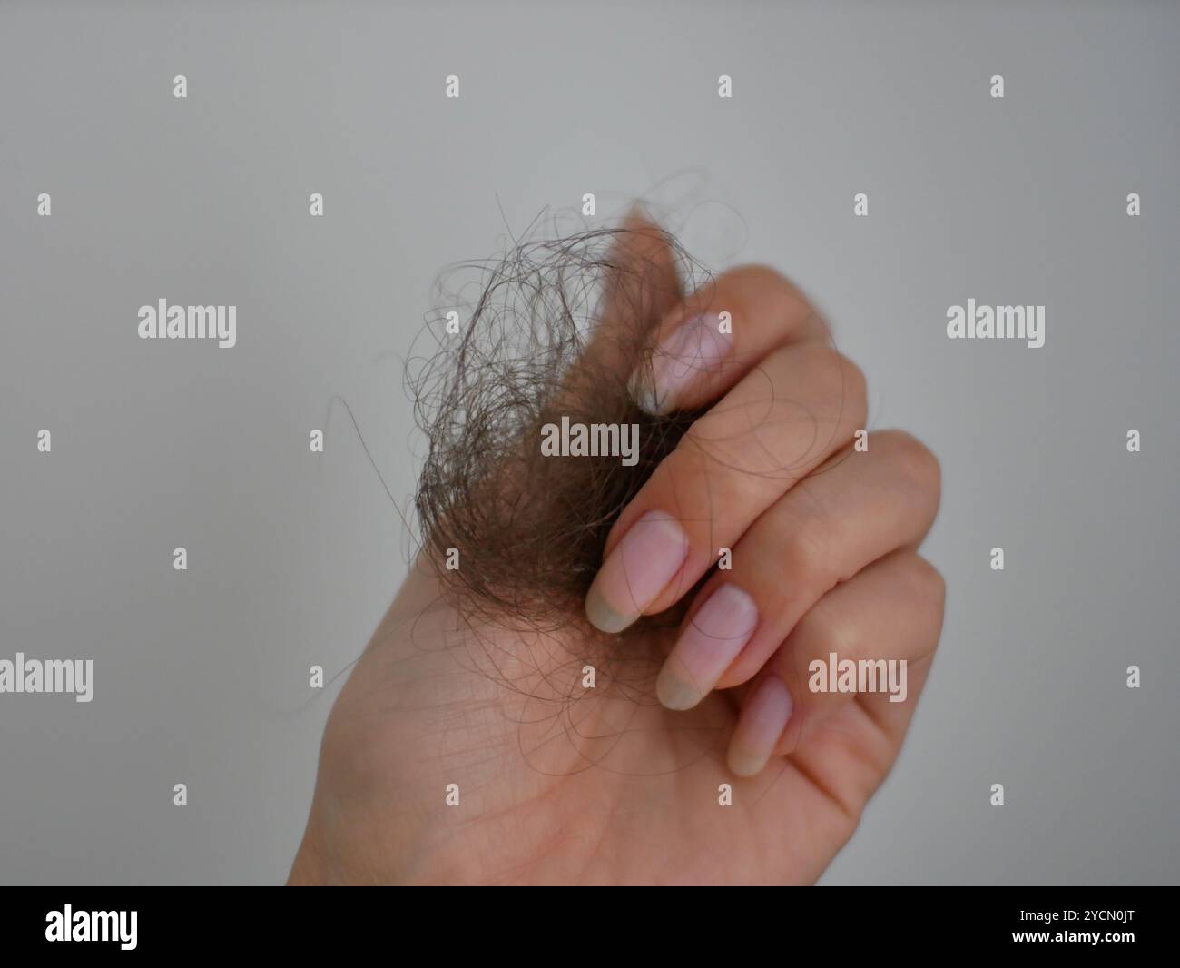 Hair lost in woman's hand. Hair fall problem after stress or hormonal ...