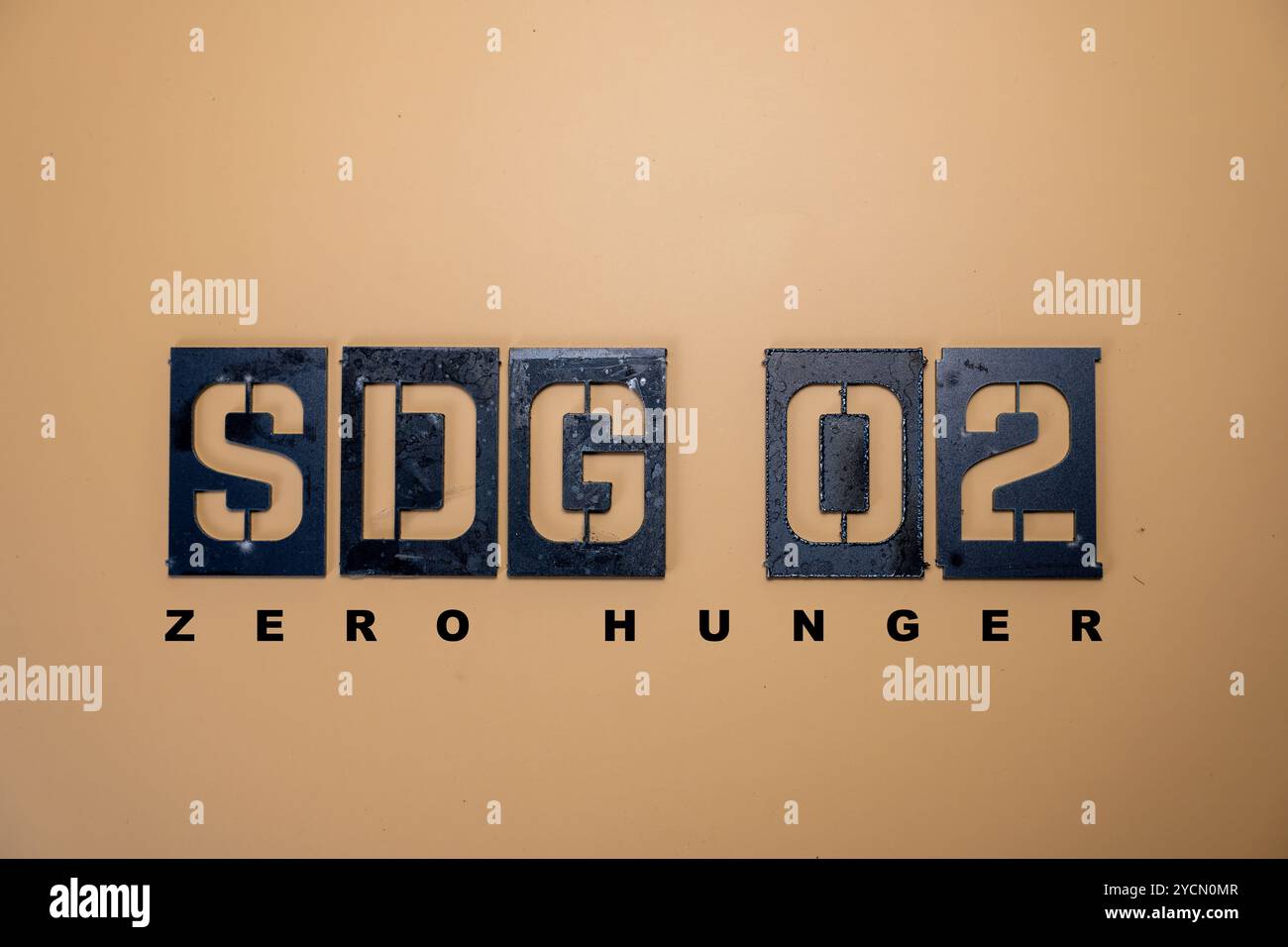 Each image features a different SDG, represented by its unique number ...