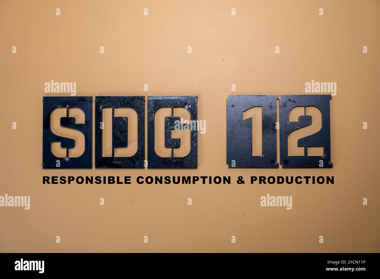 Each image features a different SDG, represented by its unique number ...