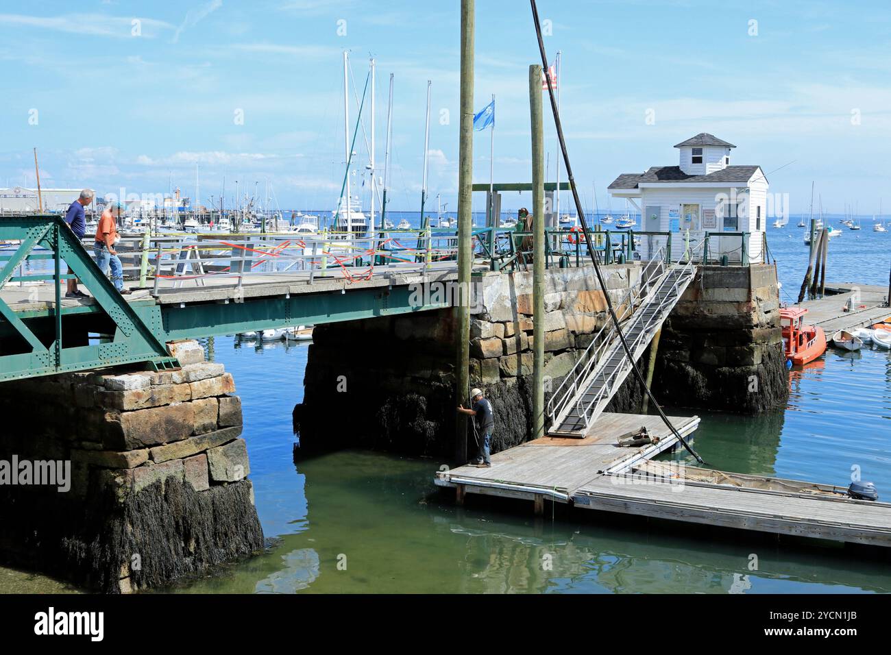 Construction worker guiding the installation of a new wooden piling for ...