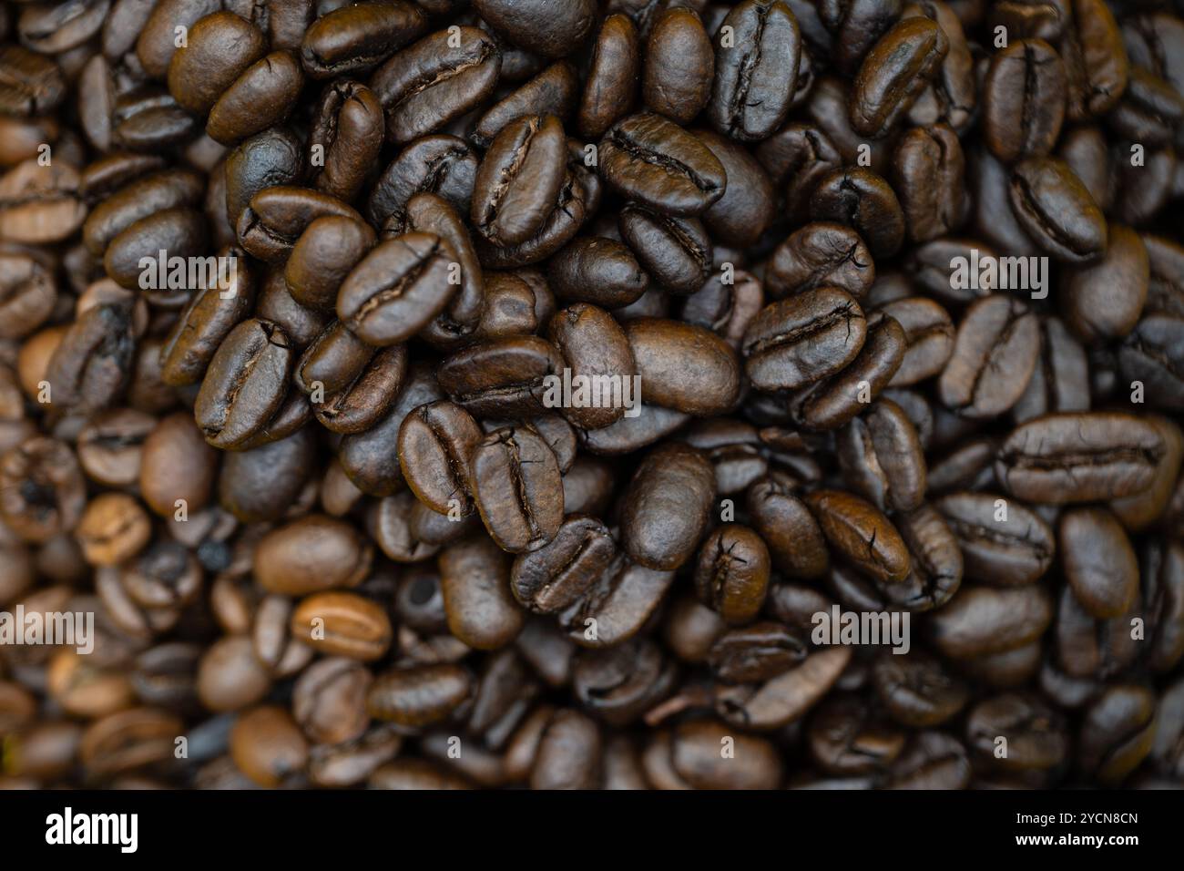 This series of close-up photographs provides a detailed look at the ...