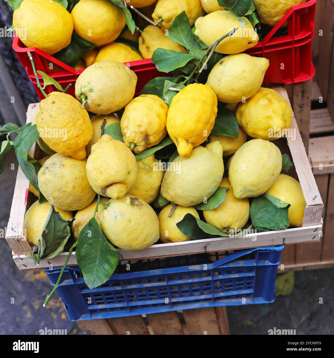 Big lemon hi-res stock photography and images - Alamy