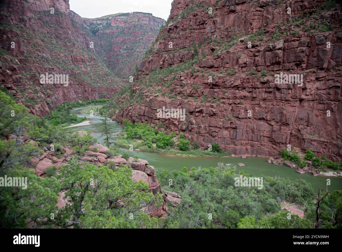 Dinosaur, Colorado - The Green River in Dinosaur National Monument in ...