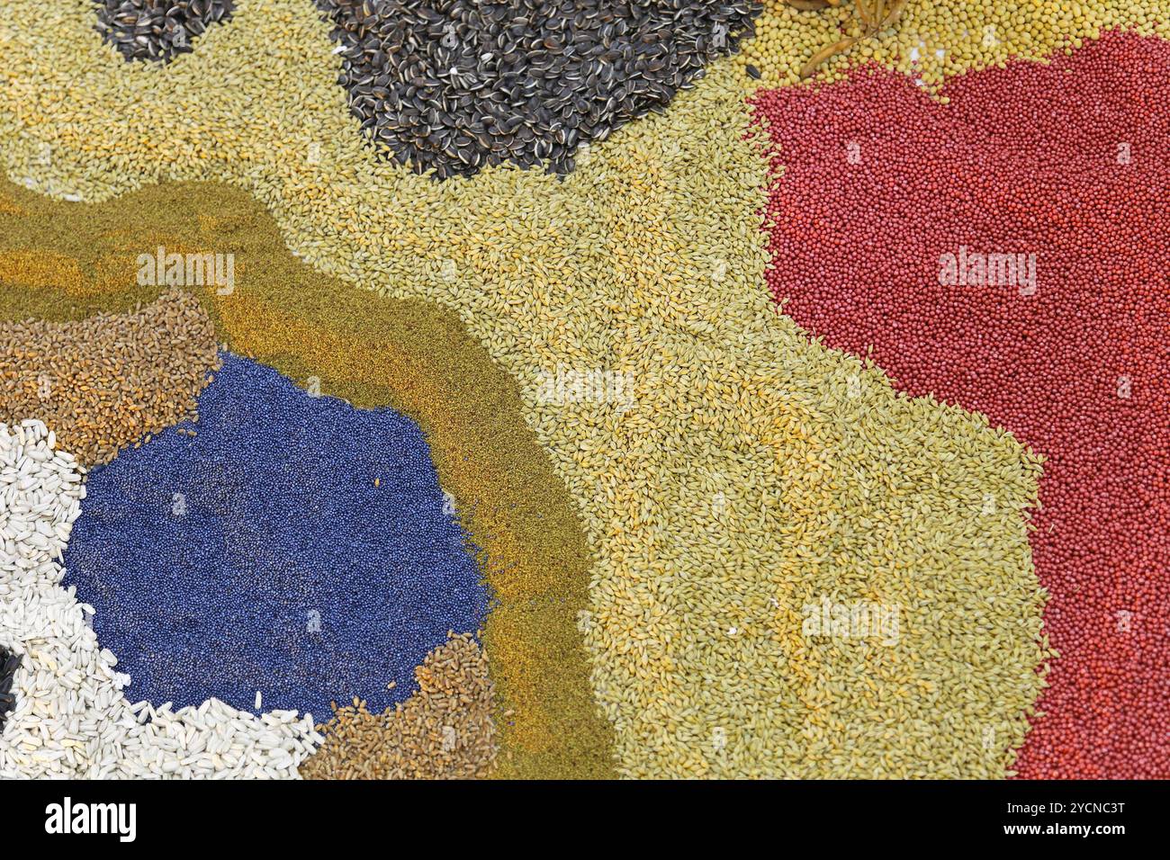 Variety cereal grains seeds hi-res stock photography and images - Alamy