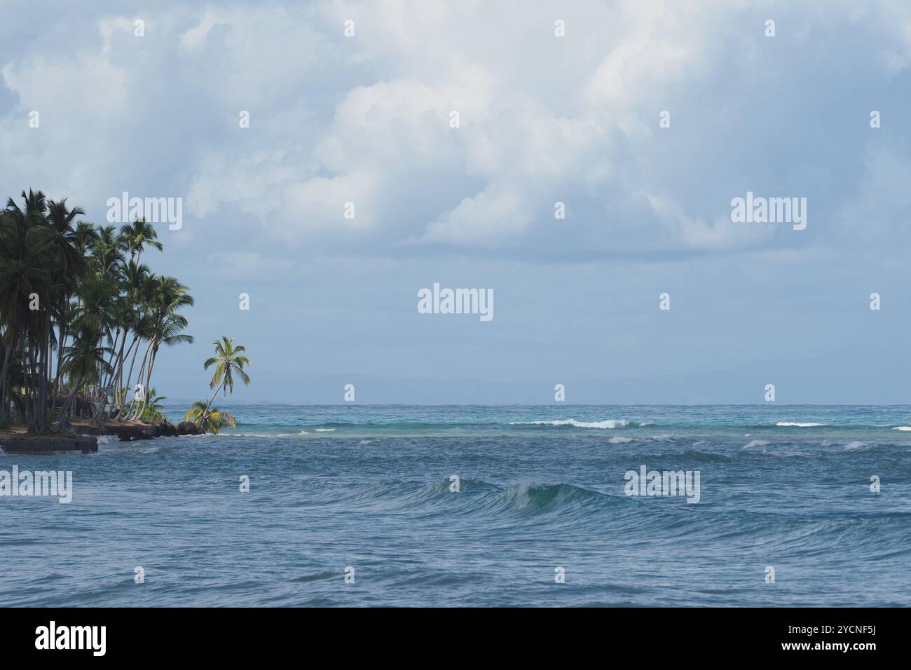 Calm coastal view with palm trees along the shoreline under a blue sky ...