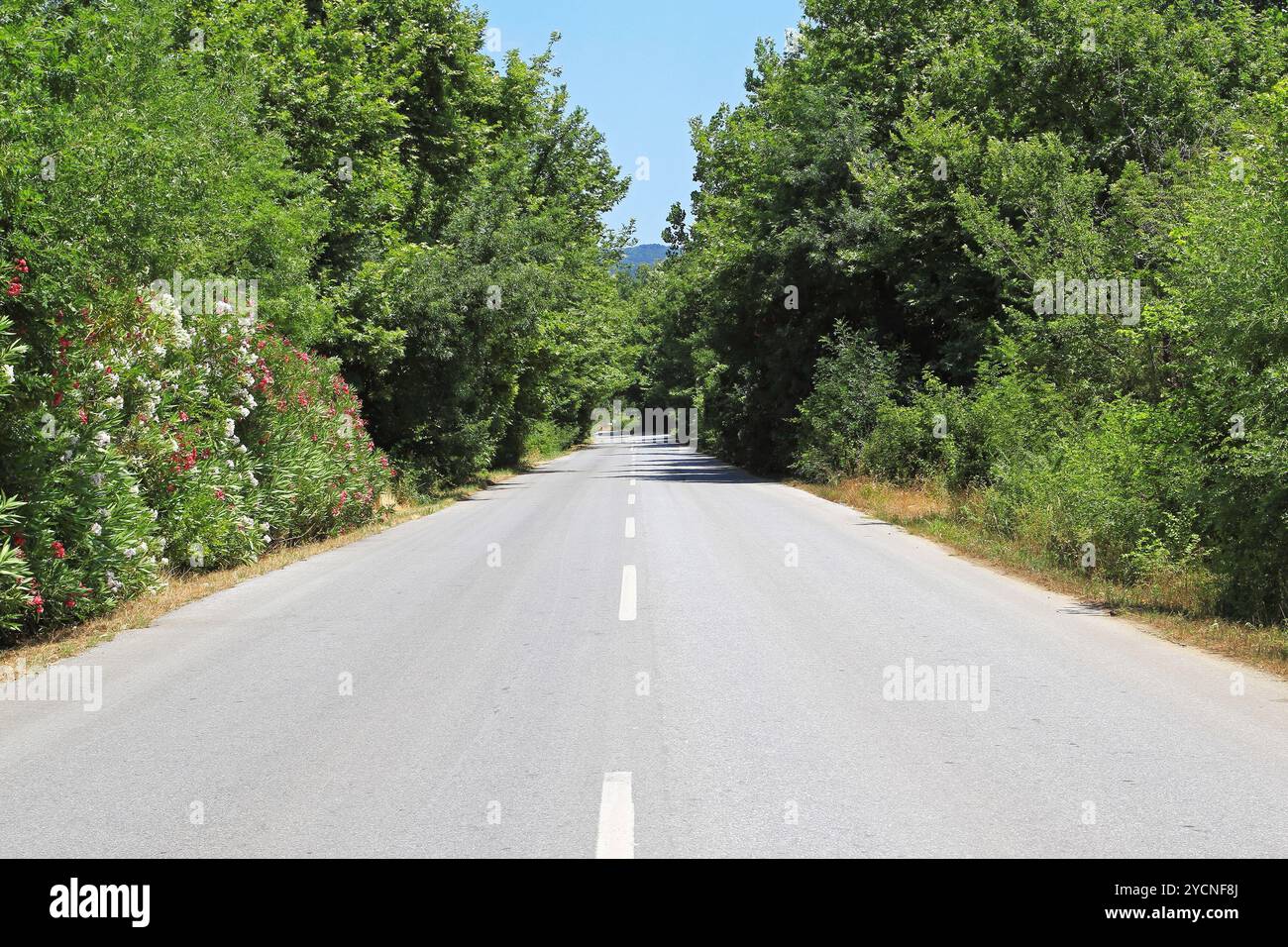 Roadway travel hi-res stock photography and images - Alamy