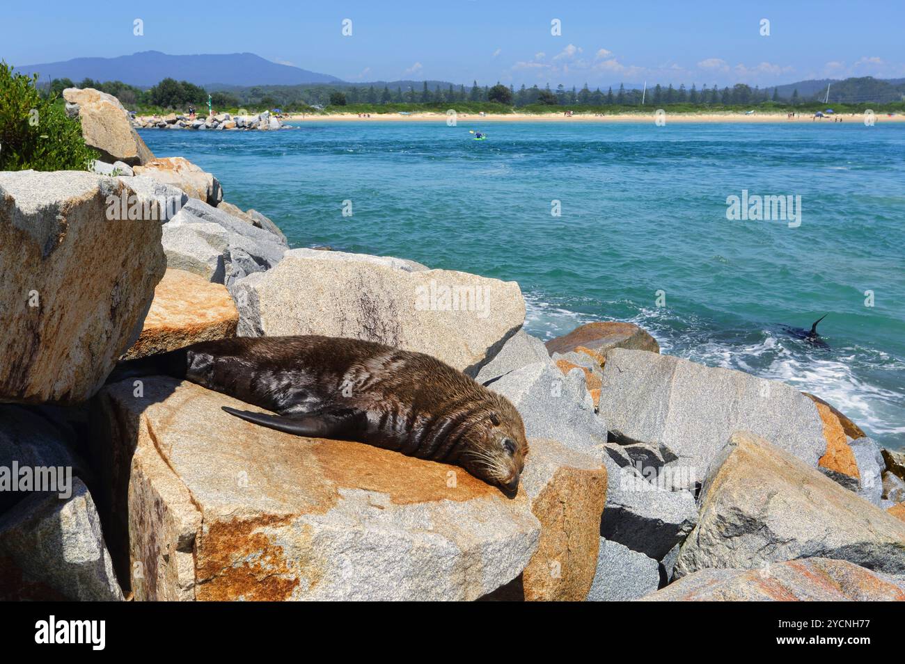 Narooma australia rock hi-res stock photography and images - Alamy