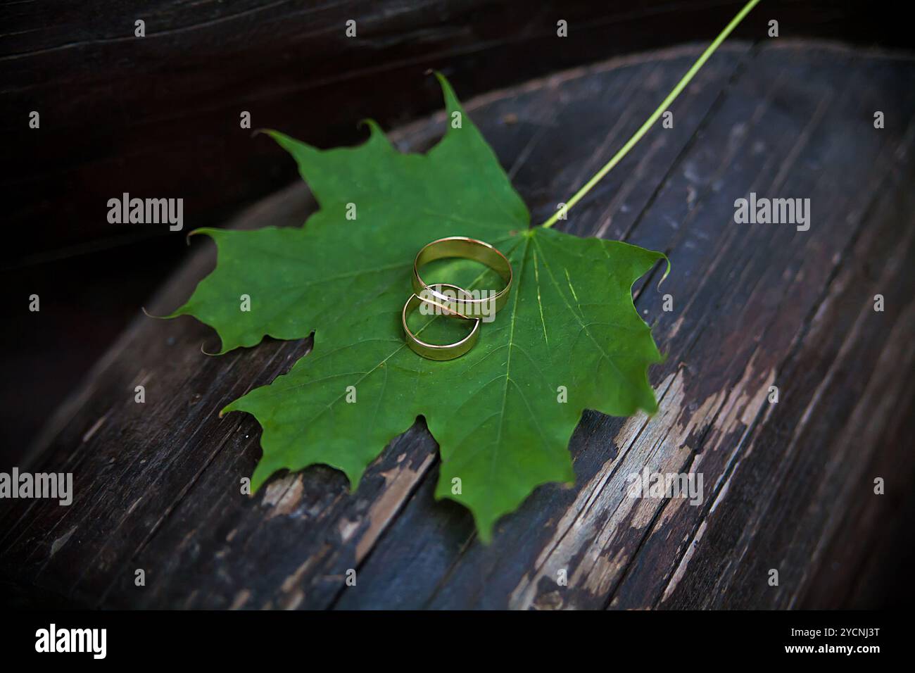 Wedding rings maple leaves hi-res stock photography and images - Alamy