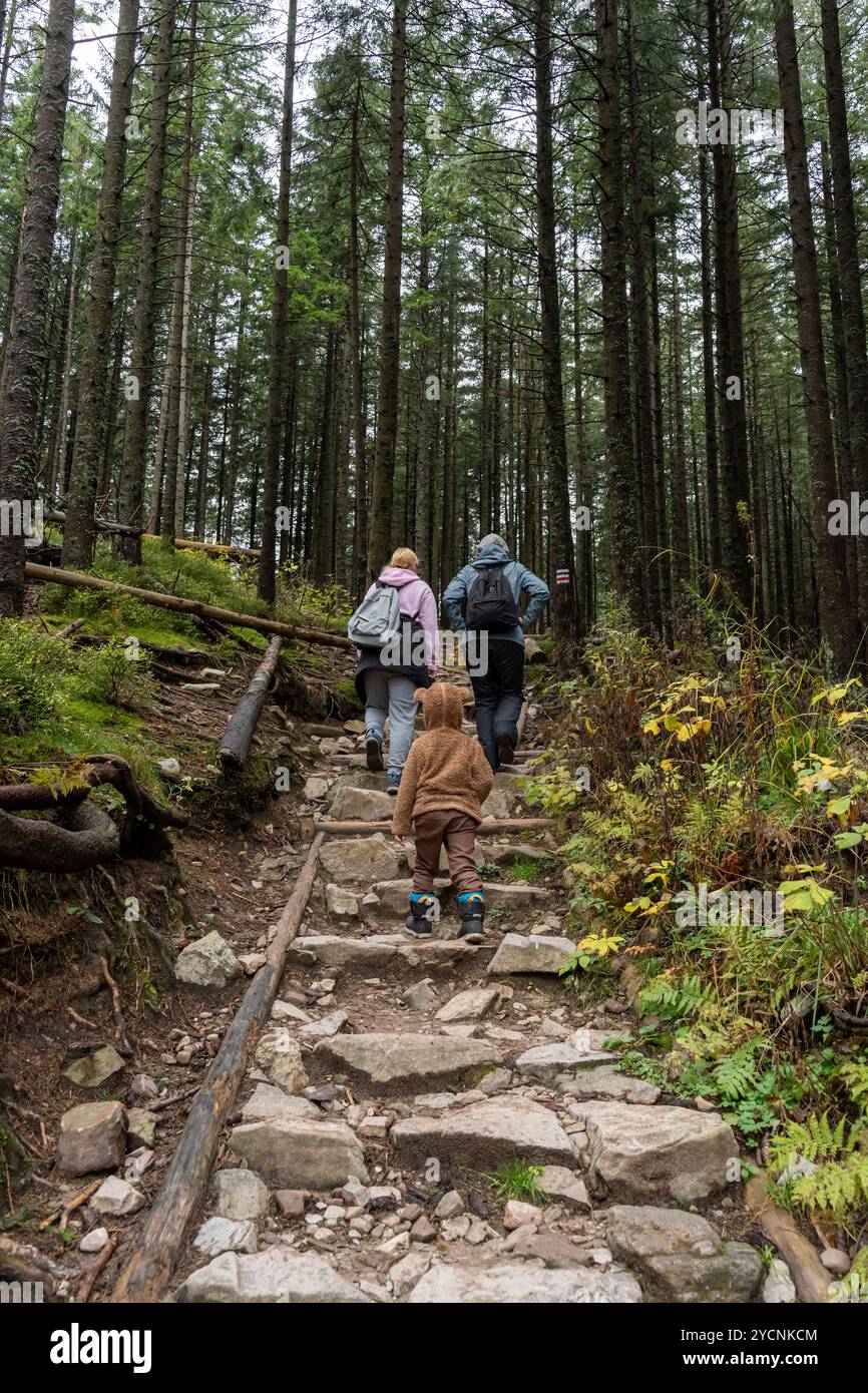 Family enjoying an outdoor hike through a dense forest. Concept of ...