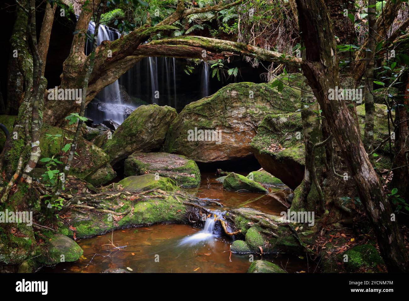 The Grotto falls at Fitzroy Falls within Morton National Park, the ...
