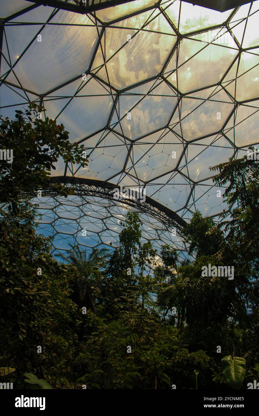 Eden Project, Rainforest biome, Cornwall, England Stock Photo - Alamy