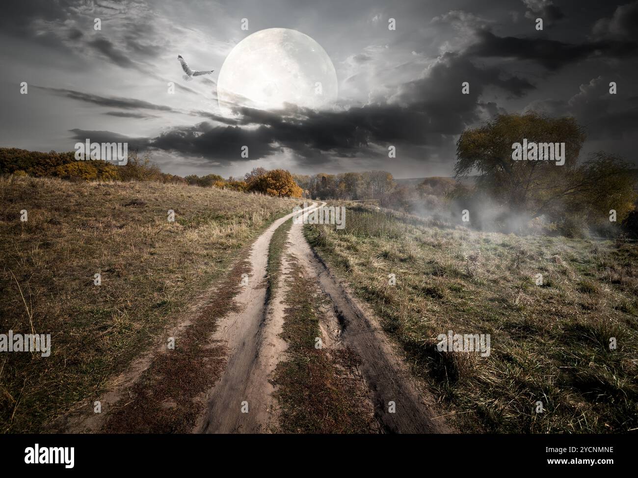 Countryside and moon Stock Photo - Alamy