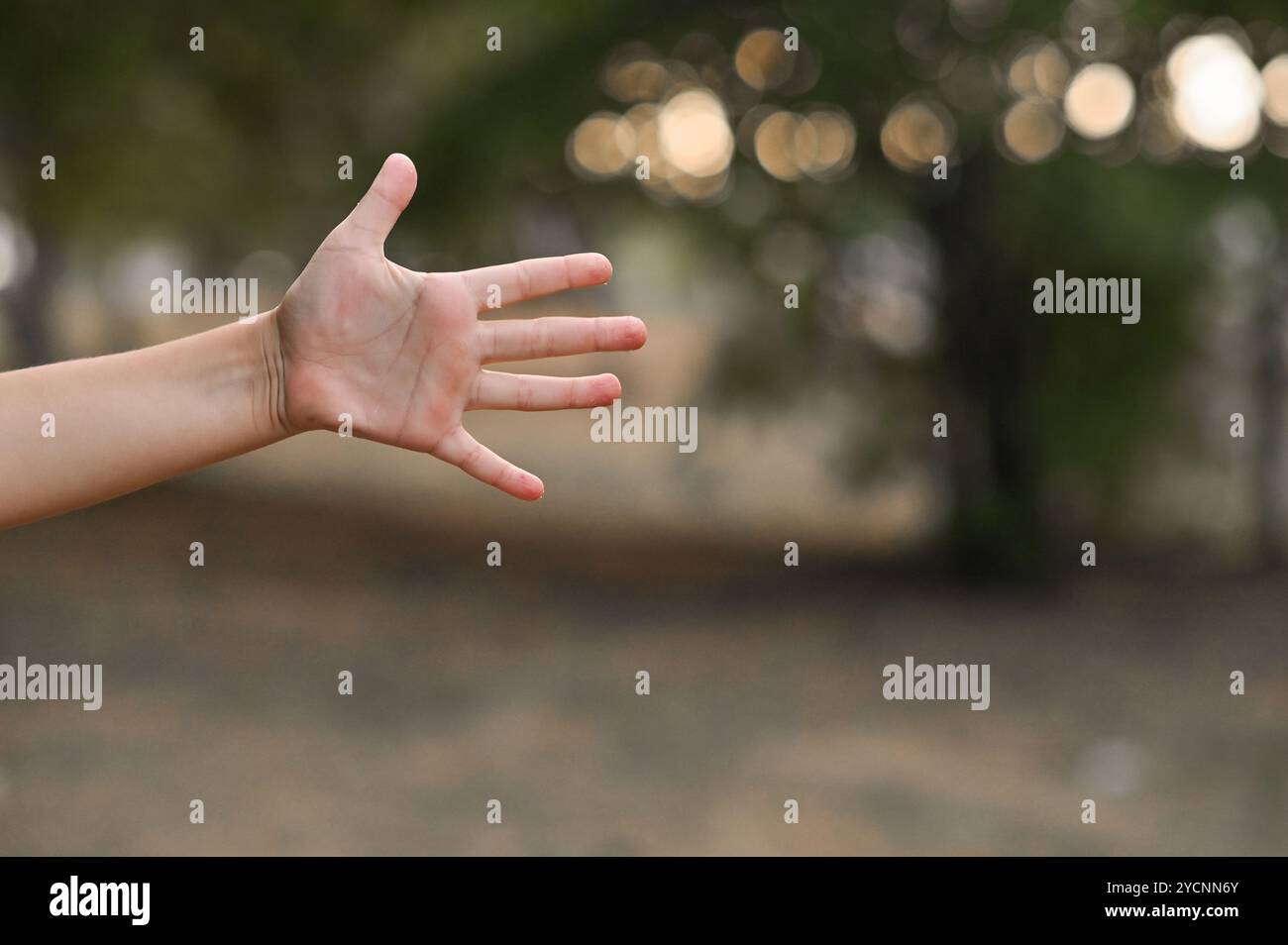the hand is a palm with the fingers spread out Stock Photo - Alamy