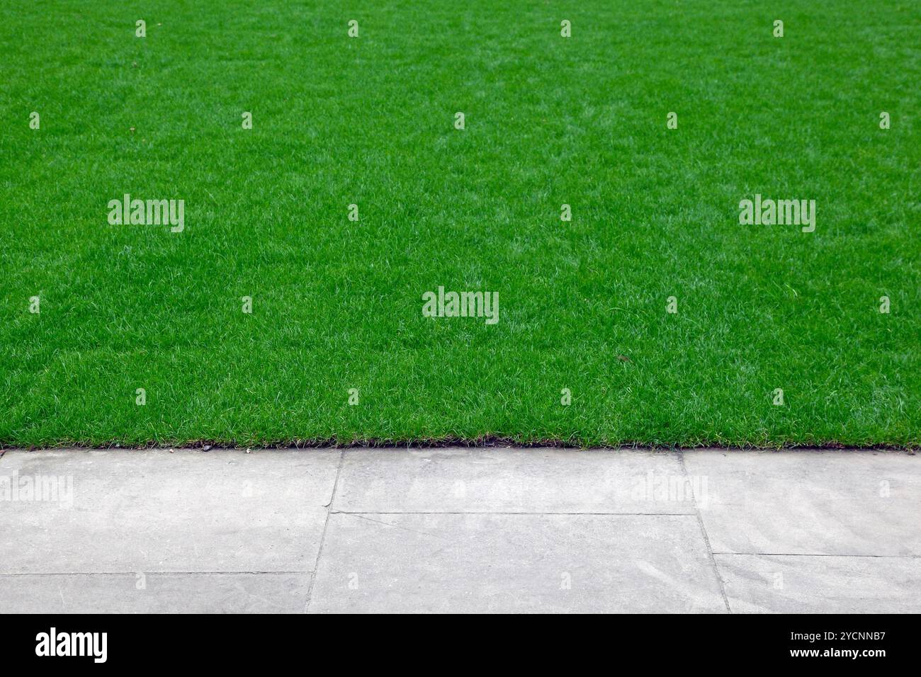 Lawn edge hi-res stock photography and images - Alamy