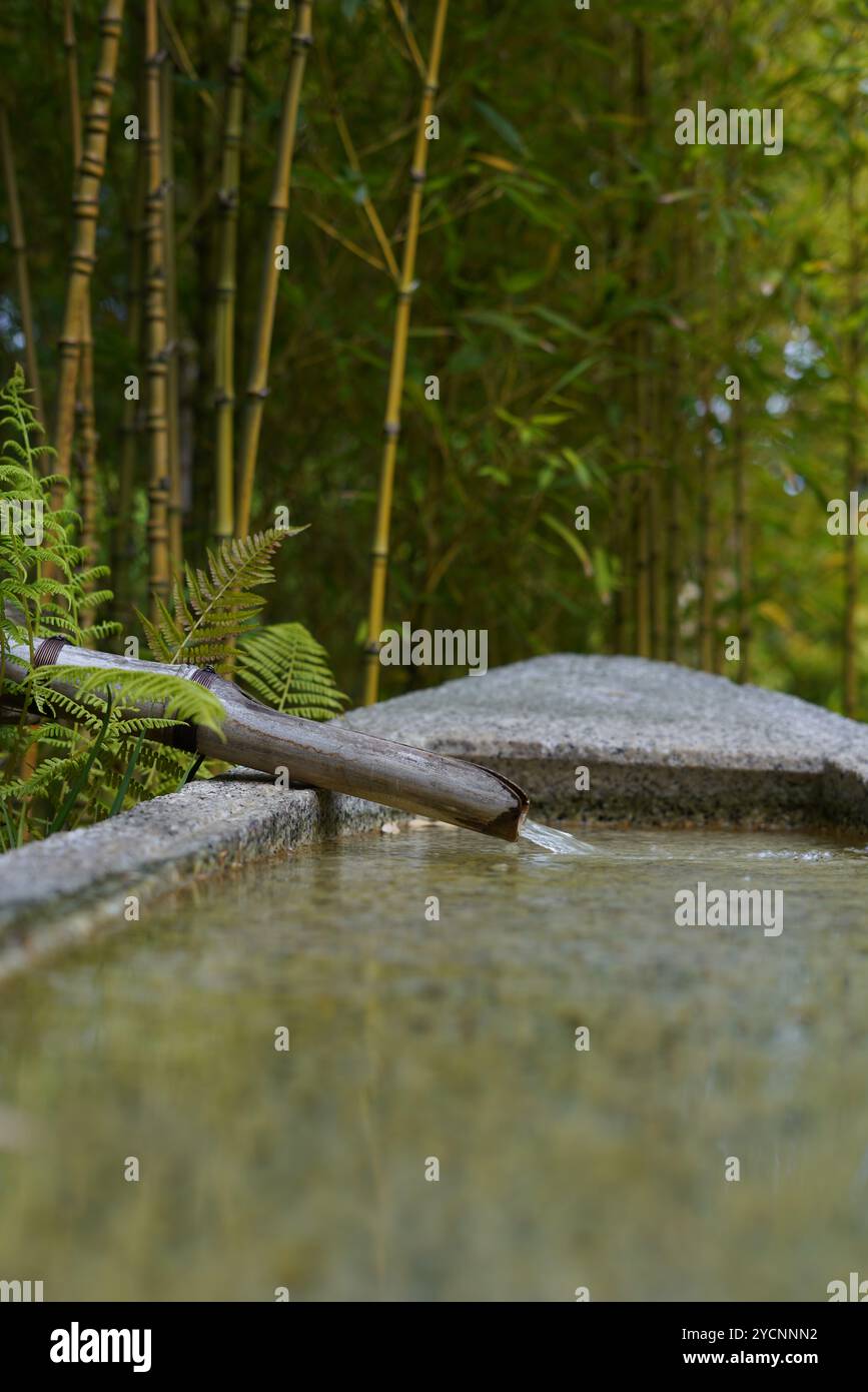 A zen bamboo water spout in a natural garden Stock Photo - Alamy