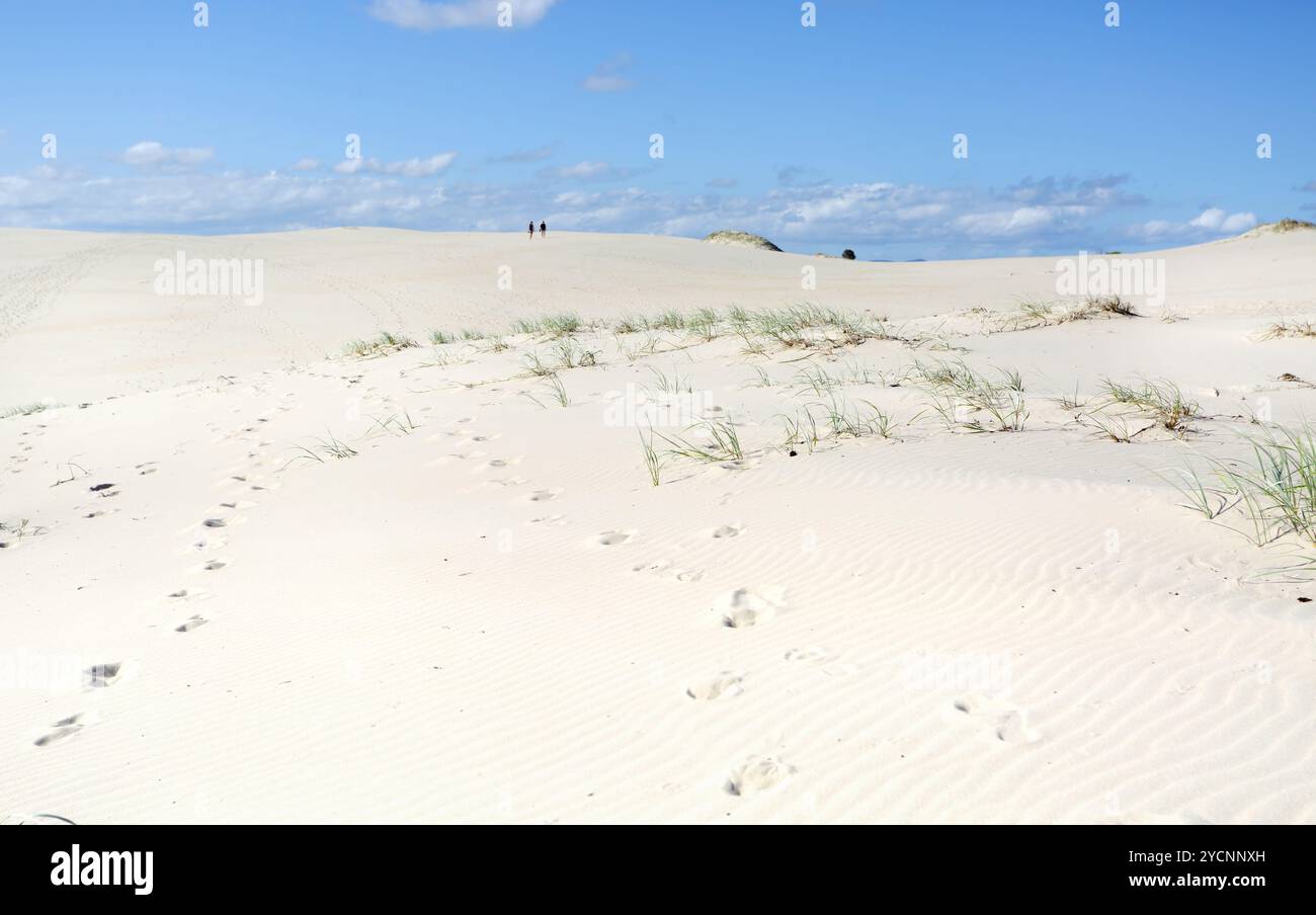 Dark Point Sand Dunes Australia Stock Photo - Alamy