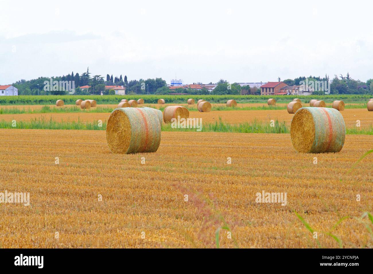 Rolling nature hi-res stock photography and images - Alamy
