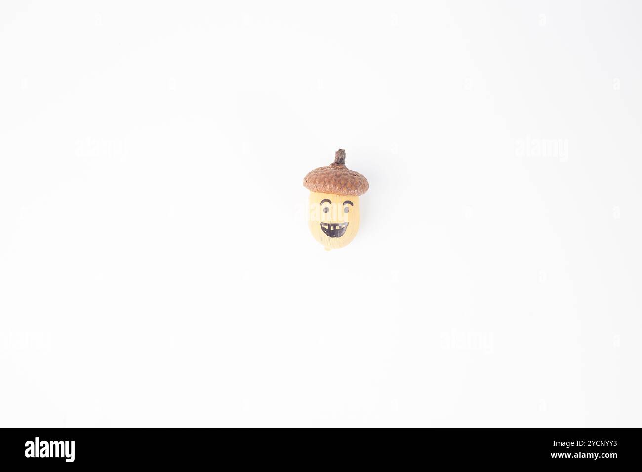 an acorn with a face drawn on it, placed against white background. The ...