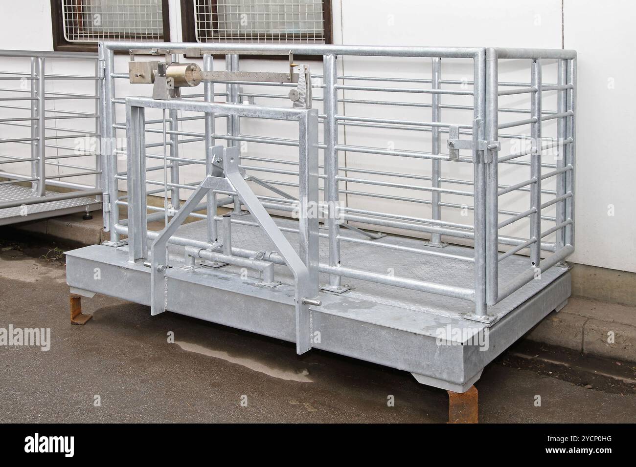 Livestock scale with cage for pigs and sheeps Stock Photo - Alamy