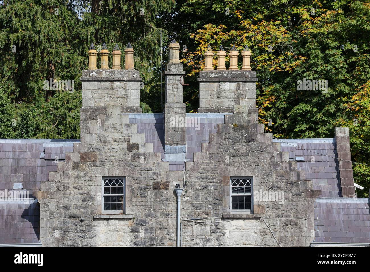 Ornate chimney stack and chimneys on entrance gate lodge to Castle ...