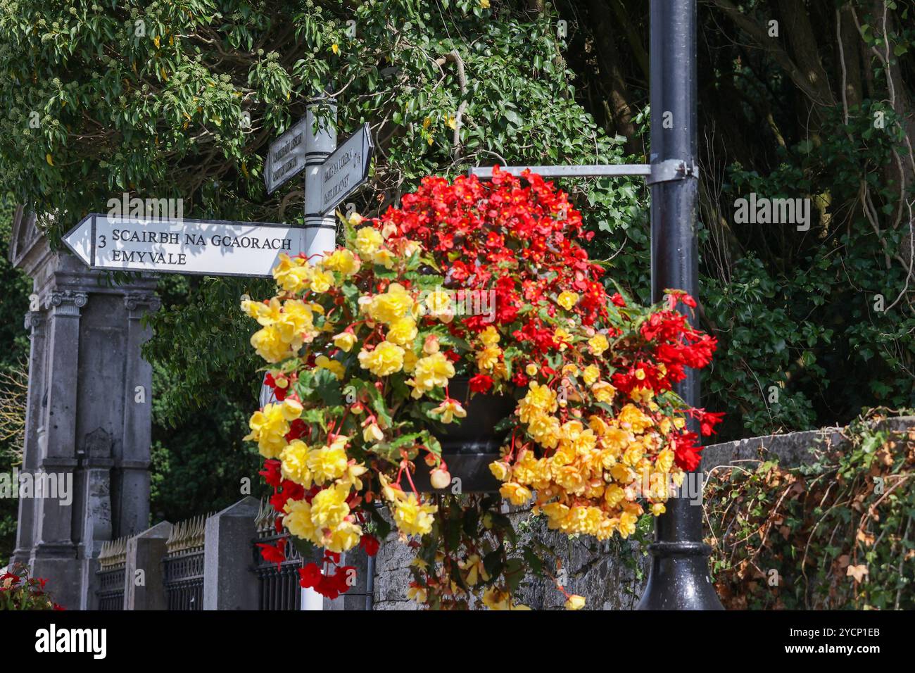 Red and yellow flowers floral hanging baskets and direction signs to ...