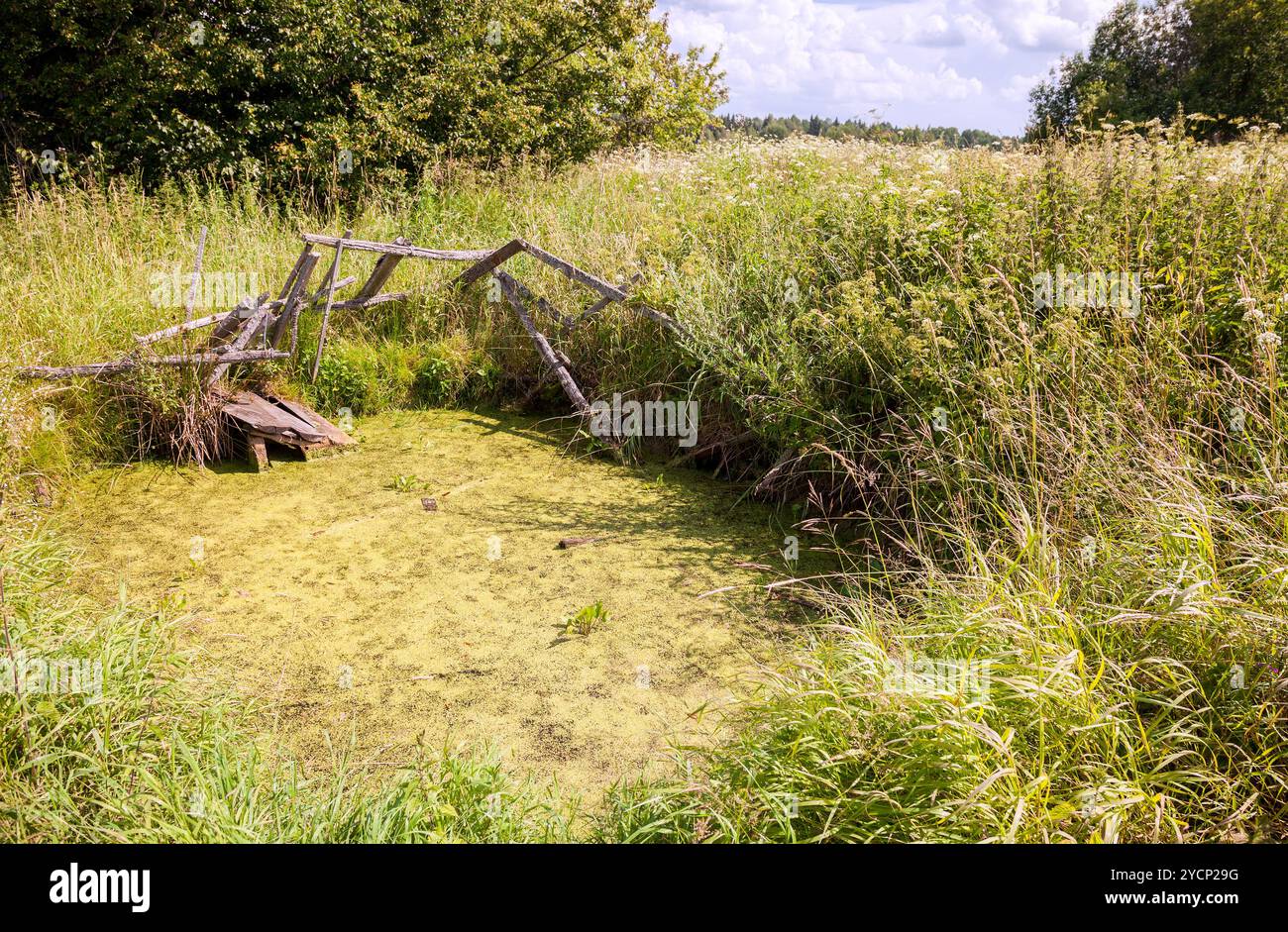 Old sedge pond in hi-res stock photography and images - Alamy