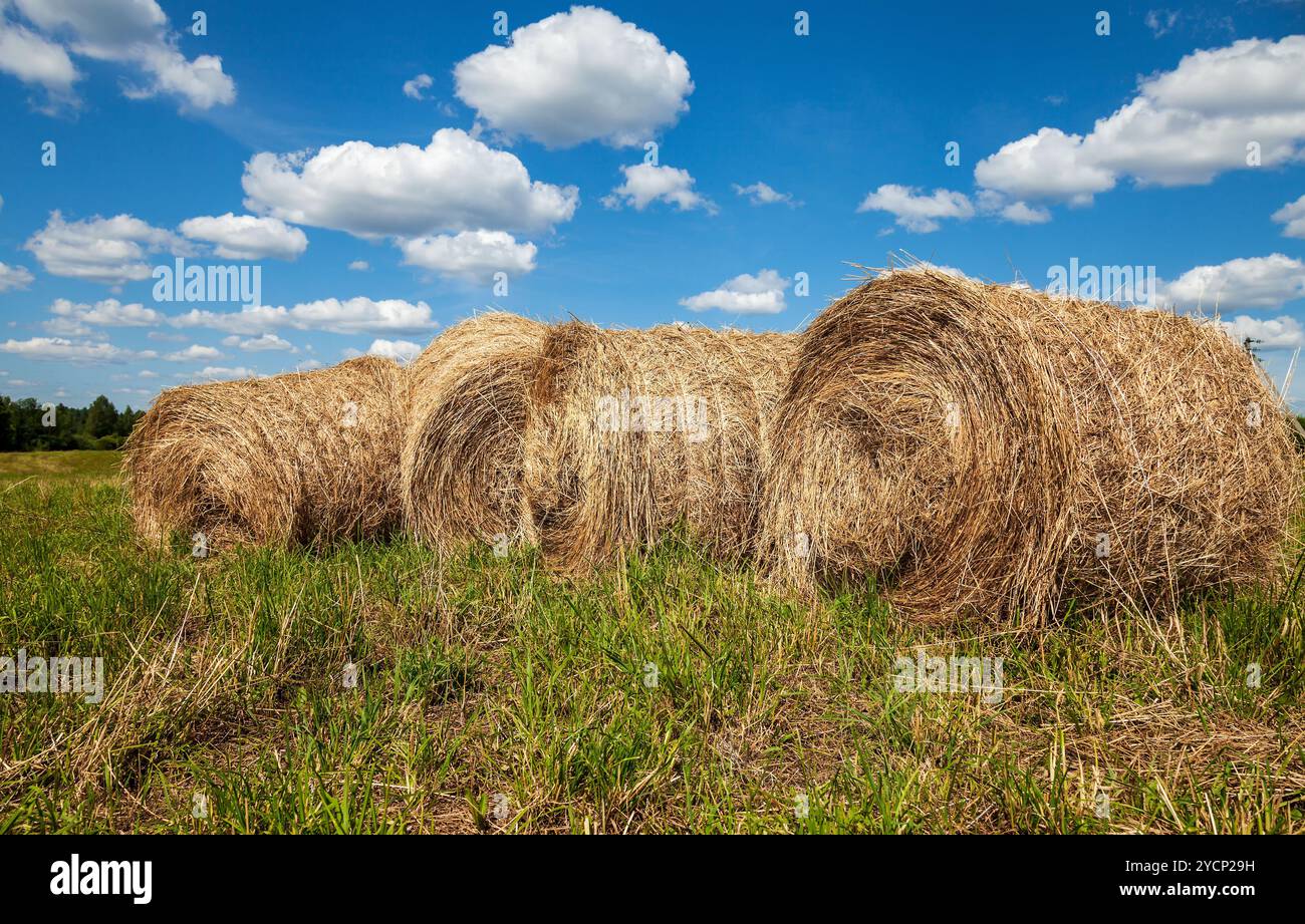 Straw bales on farmland with blue cloudy sky Stock Photo - Alamy