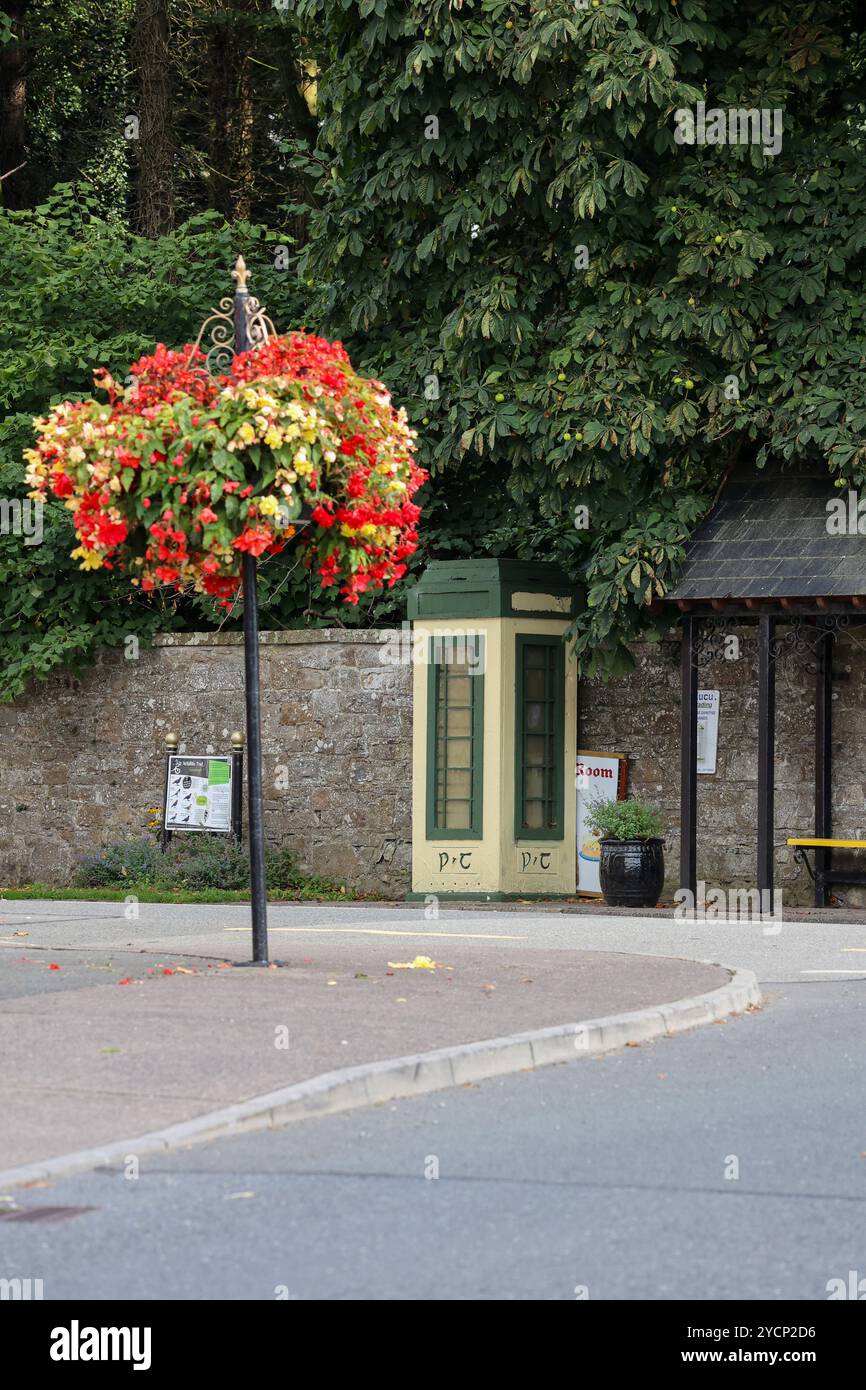 Converted and repurposed public phone box.Former telephone box Ireland ...